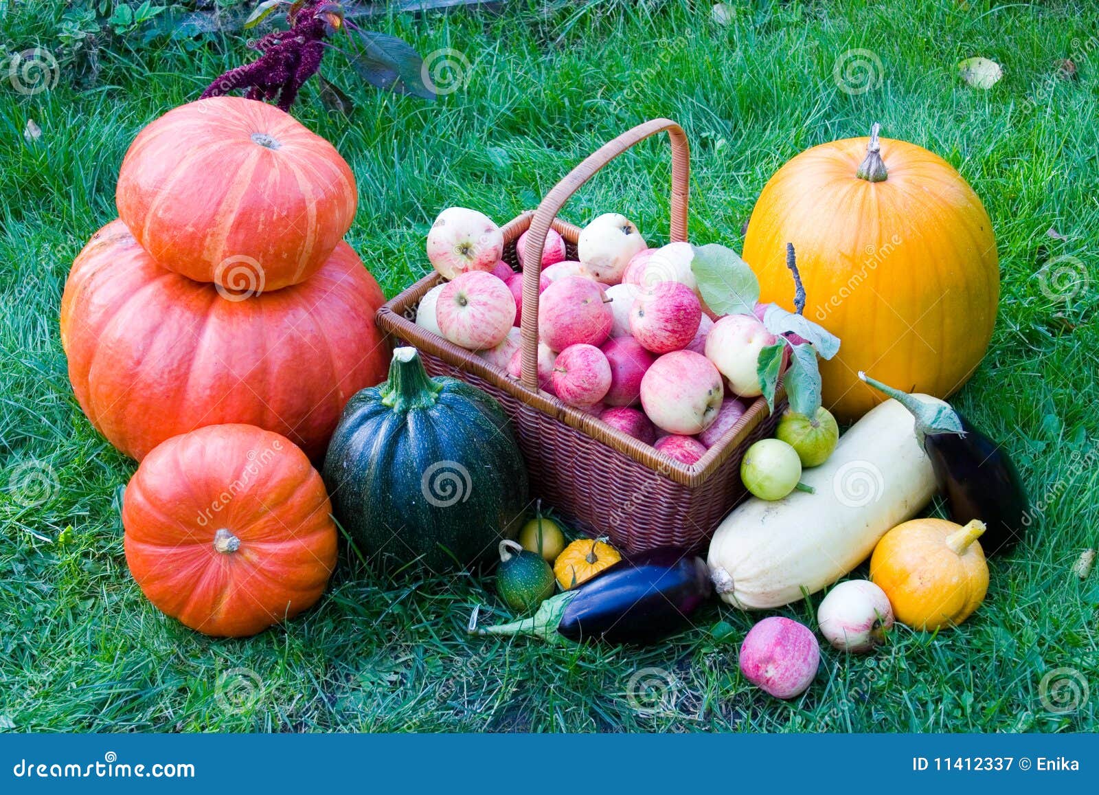 Ripe fruits and vegetables stock image. Image of guinea - 11412337