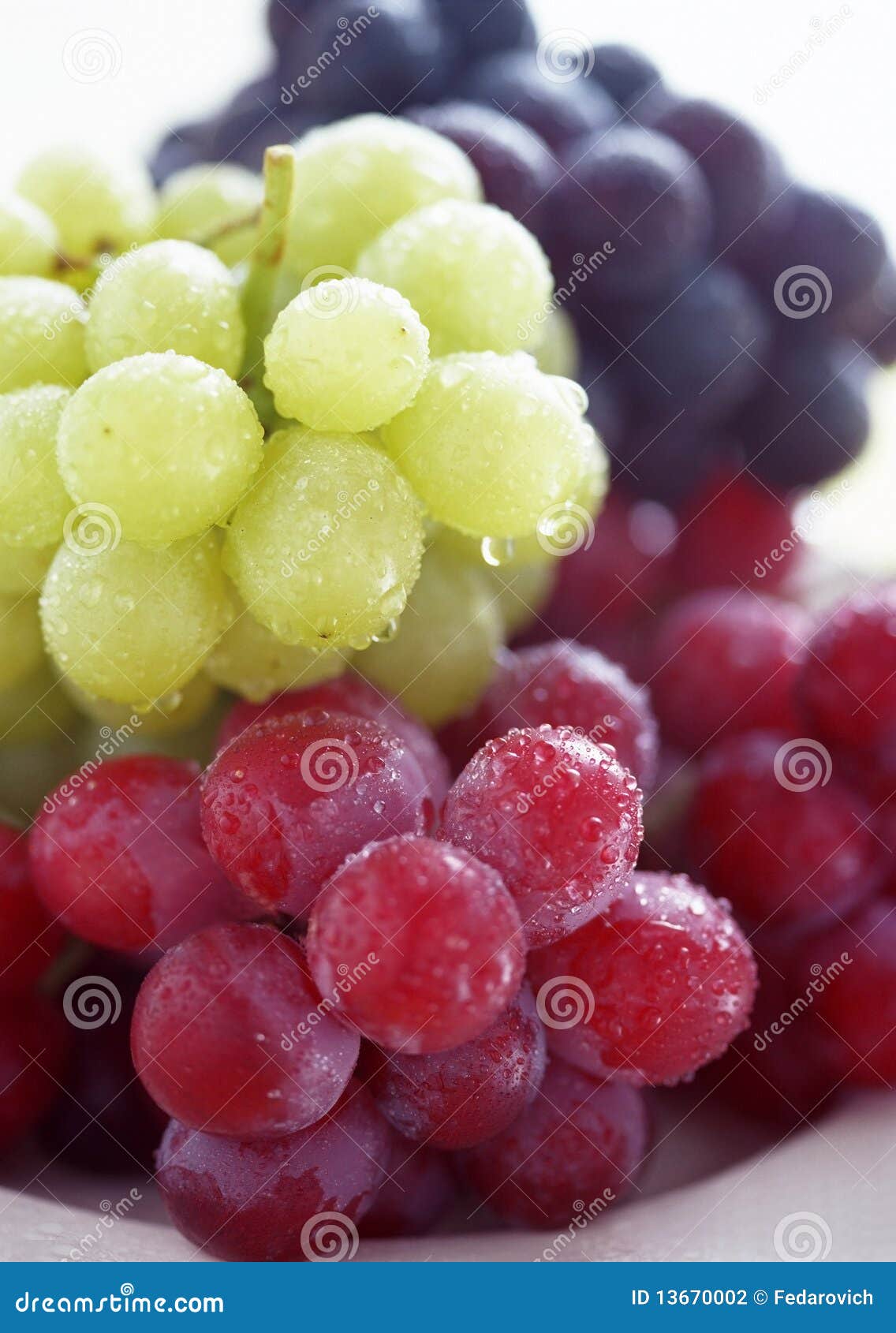 Ripe grapes stock photo. Image of sweet, farming, spring - 13670002