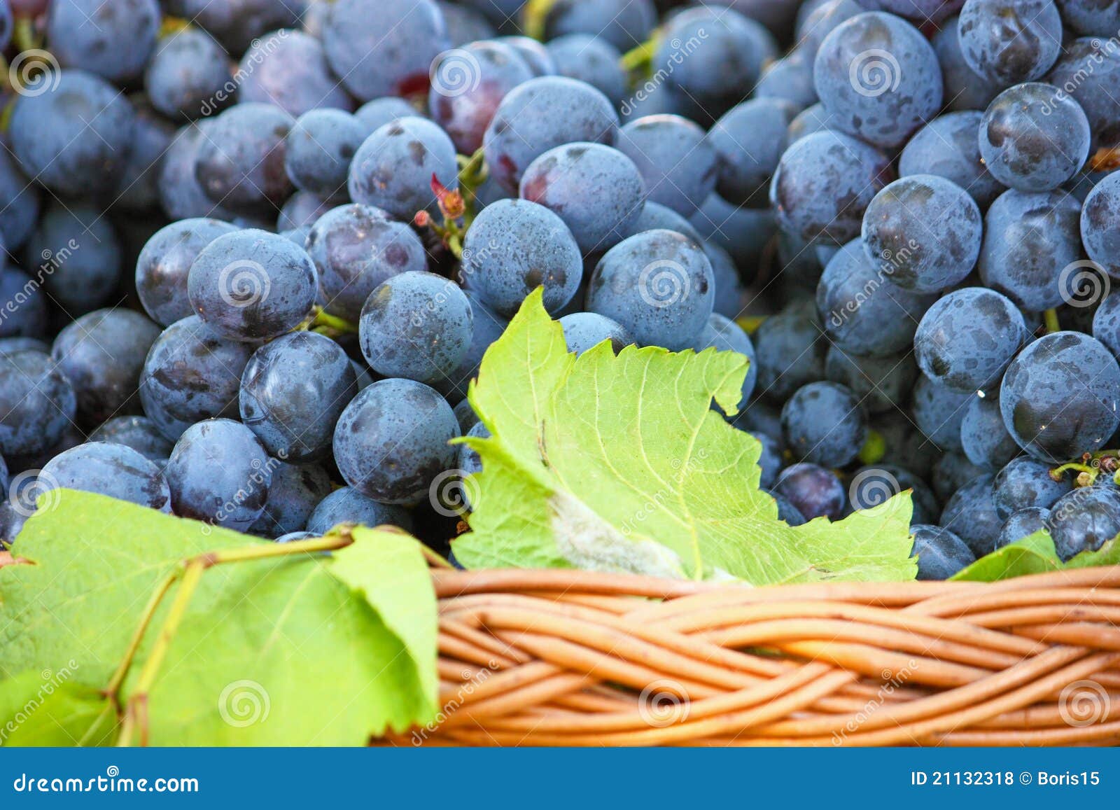 Ripe grapes stock photo. Image of healthy, sweet, vegetarian - 21132318