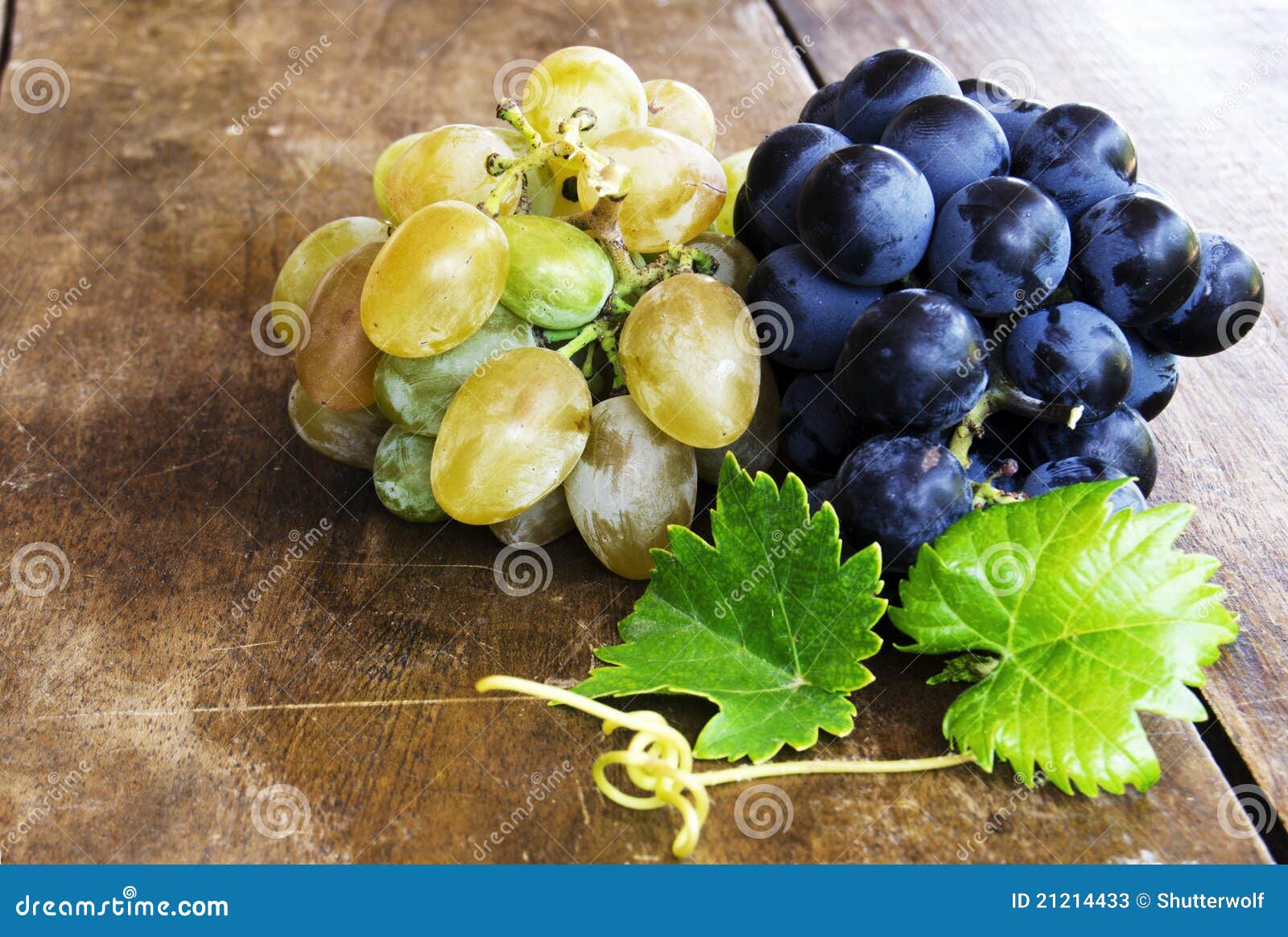 Ripe grapes stock image. Image of harvest, cluster, health - 21214433