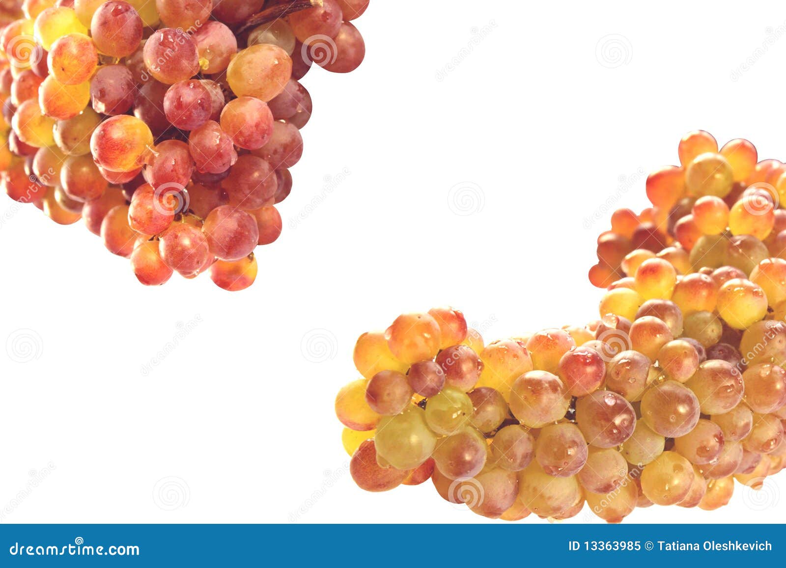 Ripe grapes isolated stock image. Image of eating, grape - 13363985