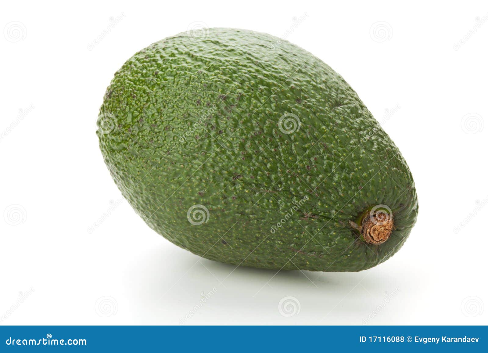Ripe green avocado stock photo. Image of macro, fruit - 17116088