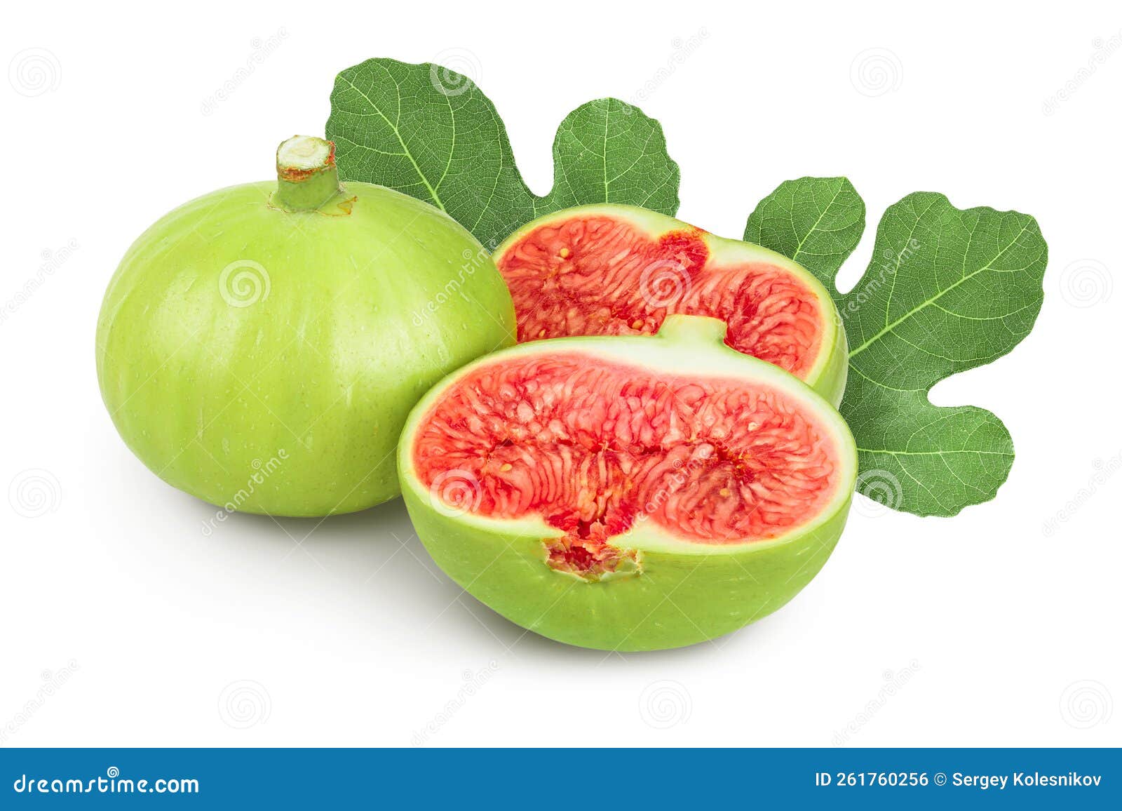 Ripe Green Fig Fruit Isolated on White Background with Full Depth of ...