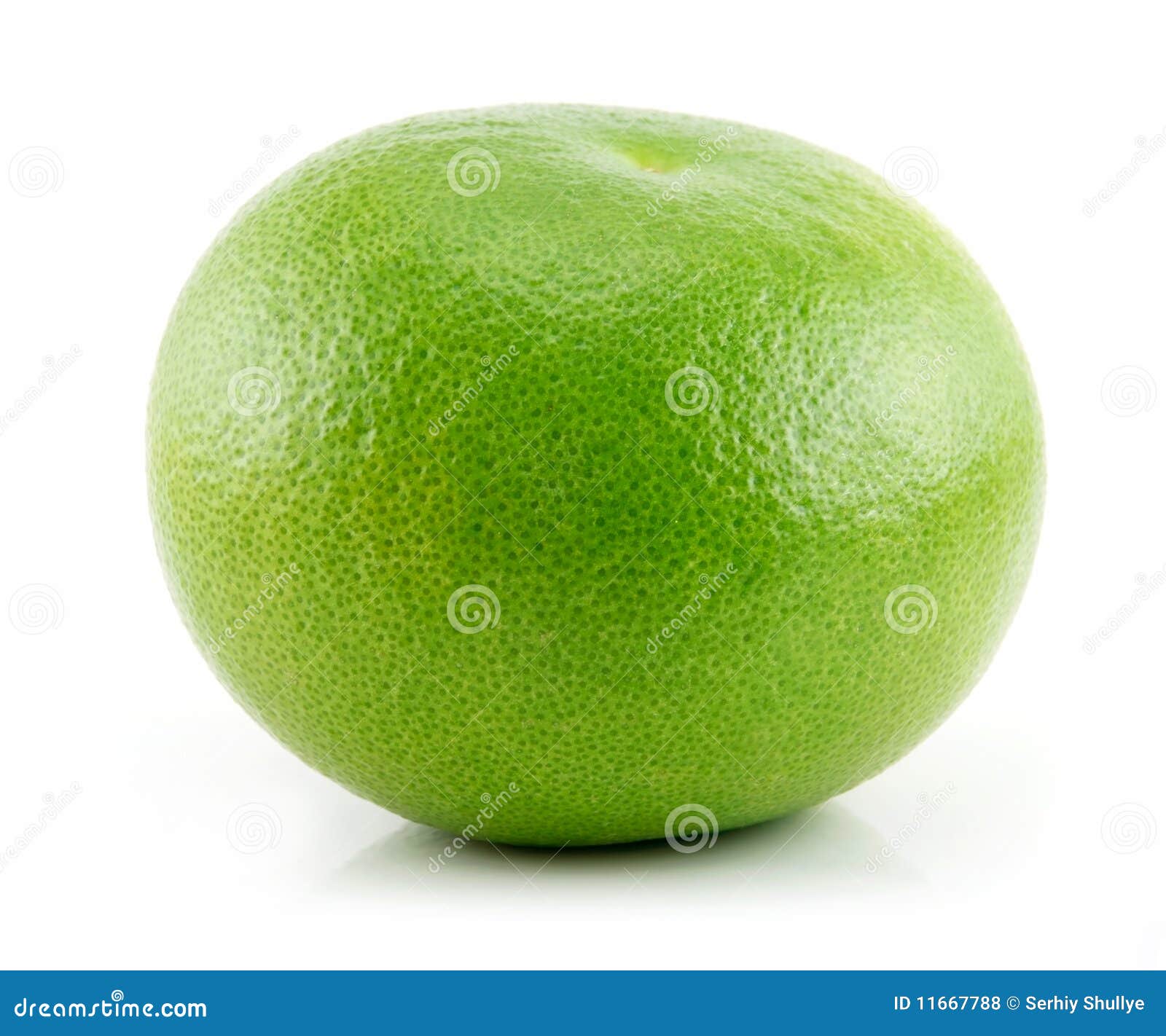 Ripe Green Grapefruit Isolated on White Stock Photo - Image of citrus ...