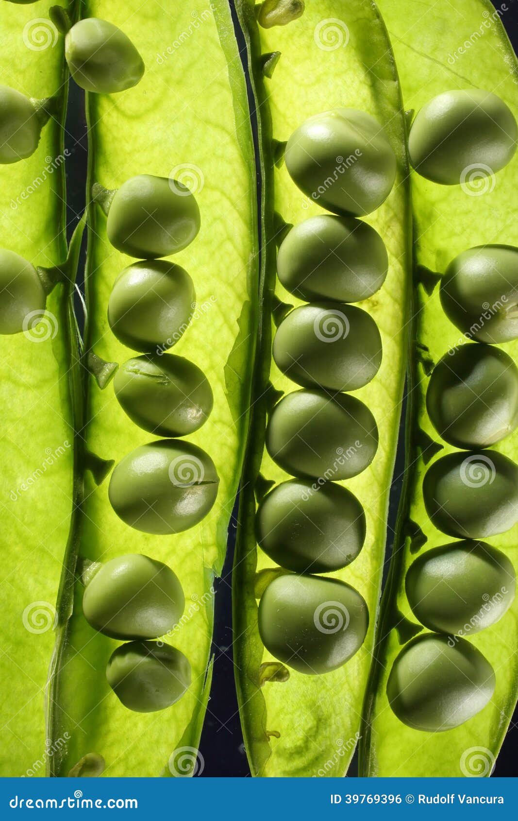 Ripe green peas in a pod stock photo. Image of vegetarian - 39769396