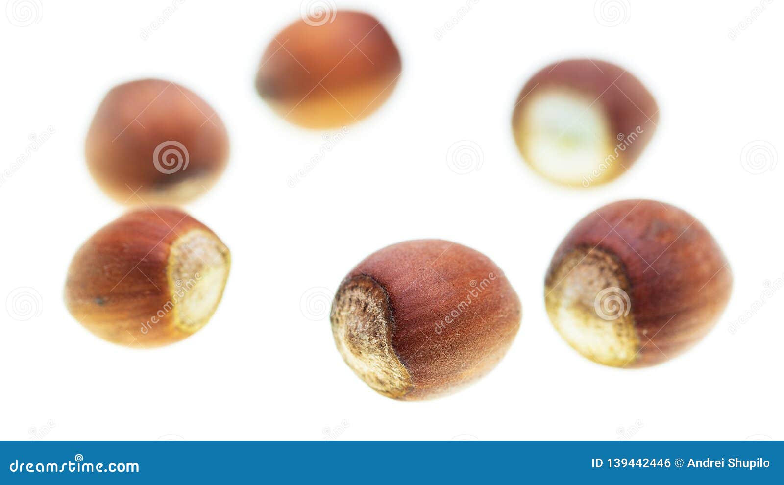 Ripe Hazelnut Nuts Isolated on White Background Stock Photo - Image of ...