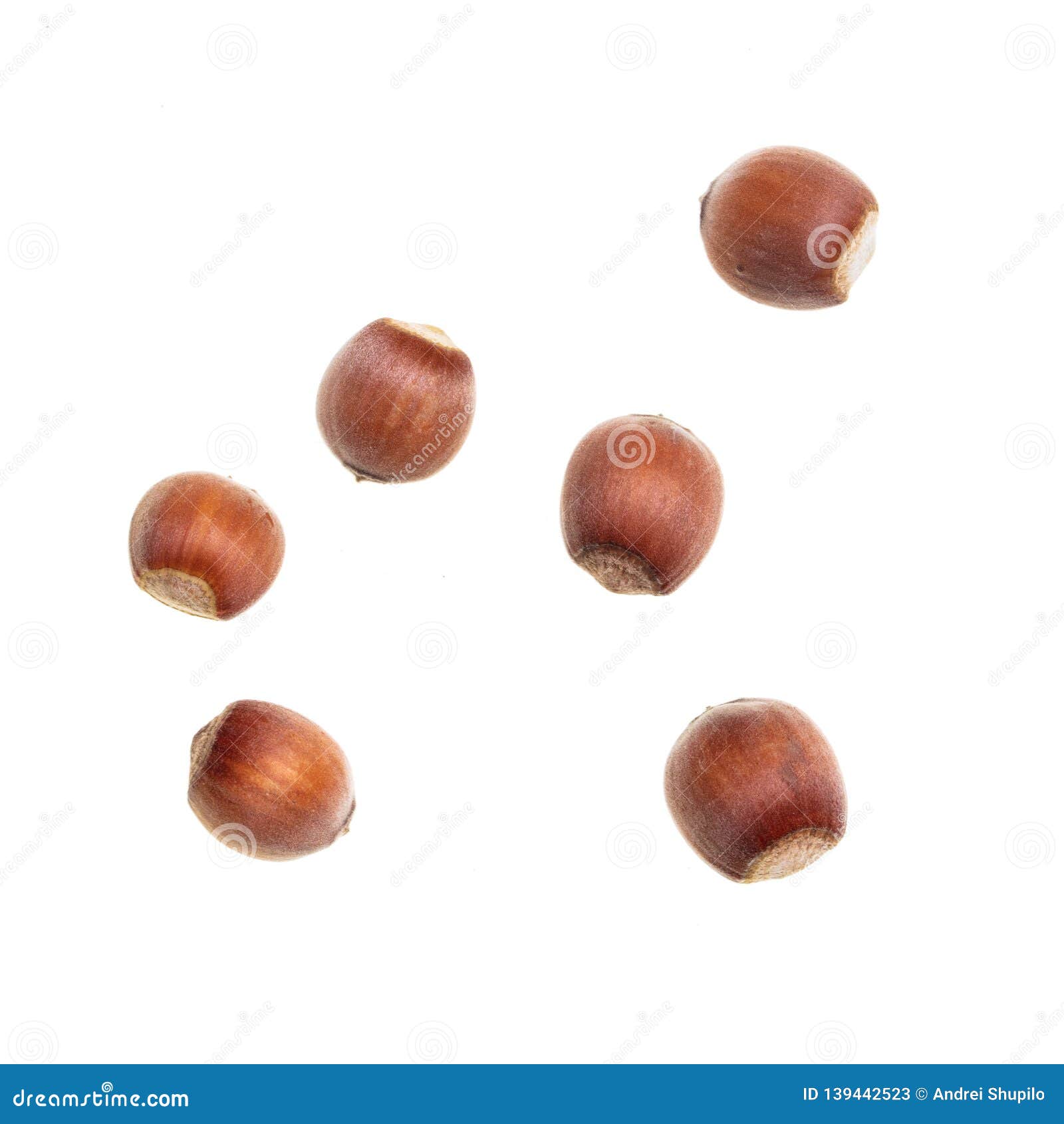 Ripe Hazelnut Nuts Isolated on White Background Stock Image - Image of ...