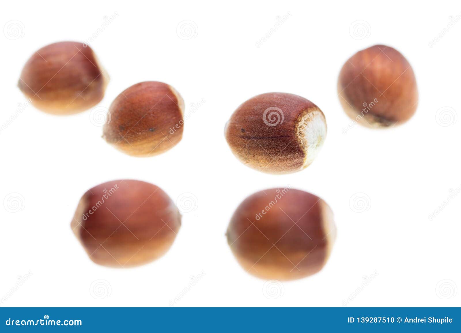 Ripe Hazelnut Nuts Isolated on White Background Stock Photo - Image of ...
