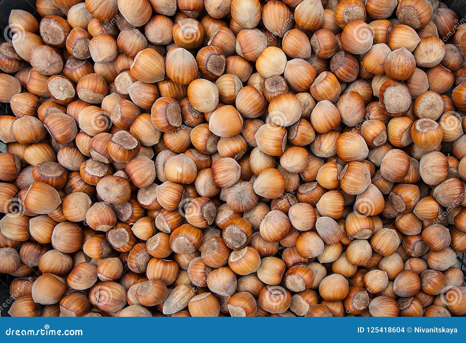 Ripe Hazelnuts Background. Hazelnut. Nuts in Boxes Stock Photo - Image ...