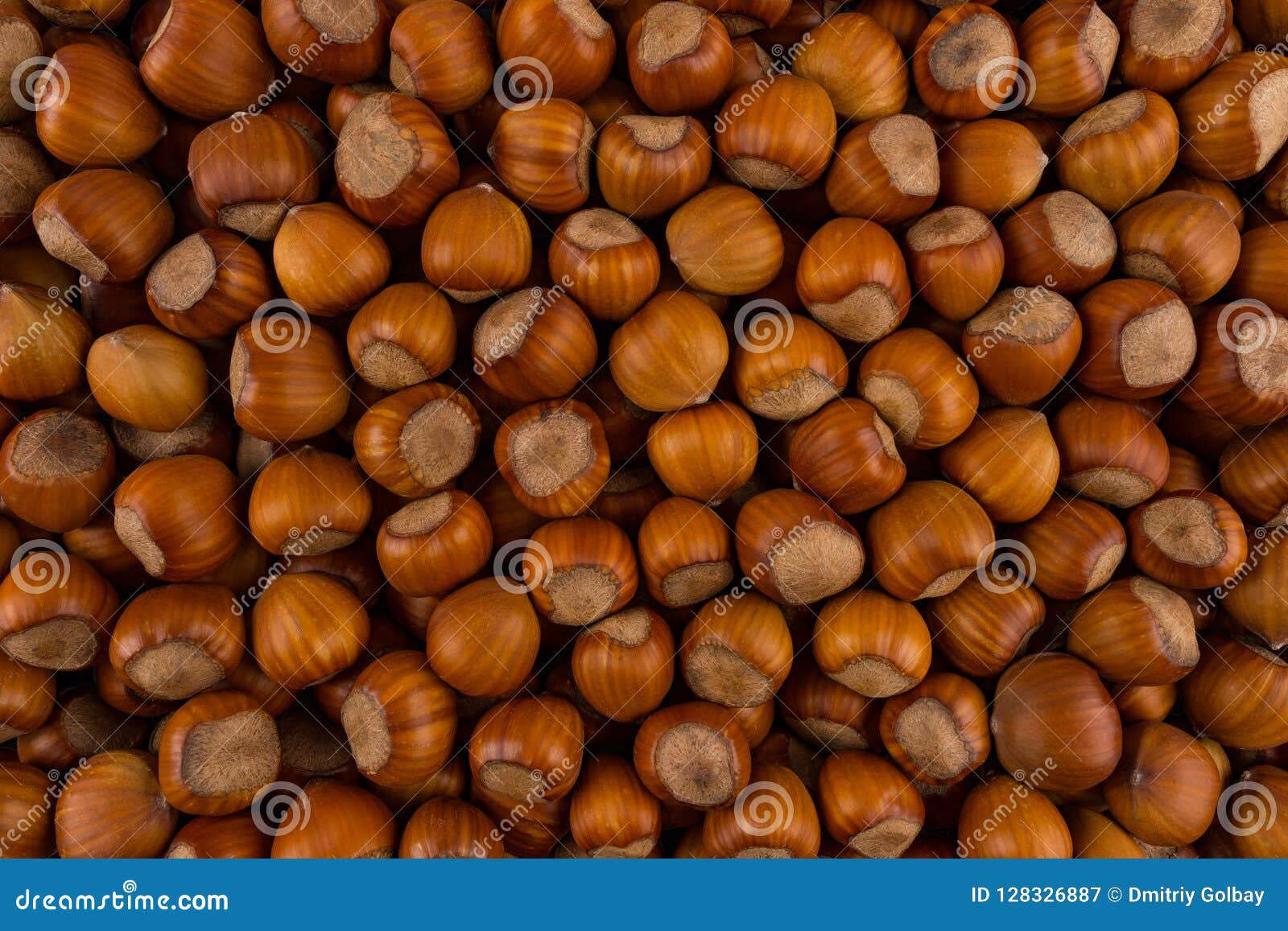 Ripe Hazelnuts Background. Hazelnut. Nuts in Boxes Stock Image - Image ...