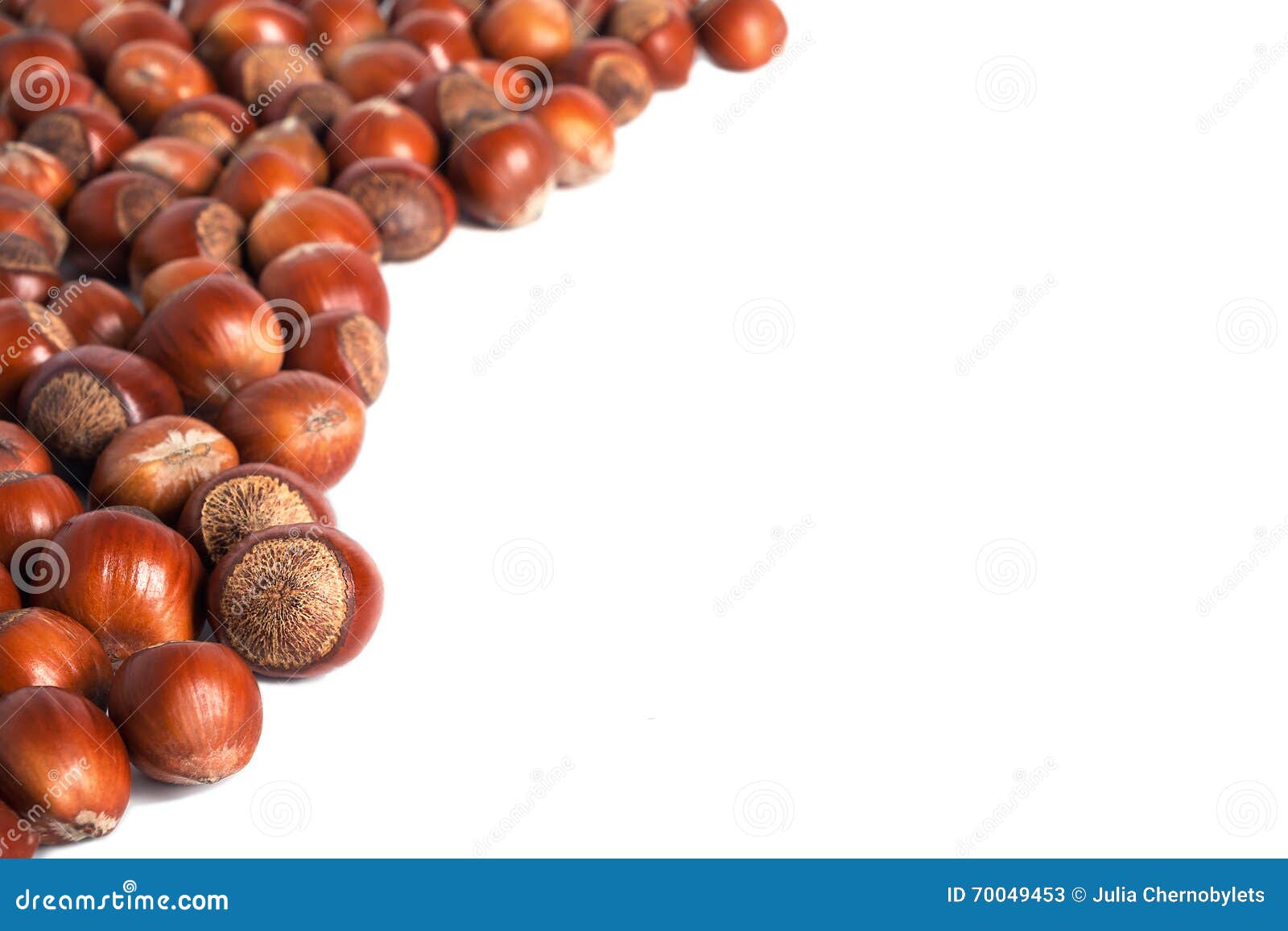 Ripe hazelnuts isolated stock image. Image of food, tasty - 70049453