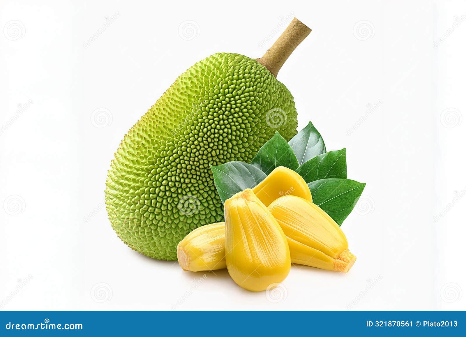 Ripe Jackfruit with Bulbs Isolated on White Background Stock ...