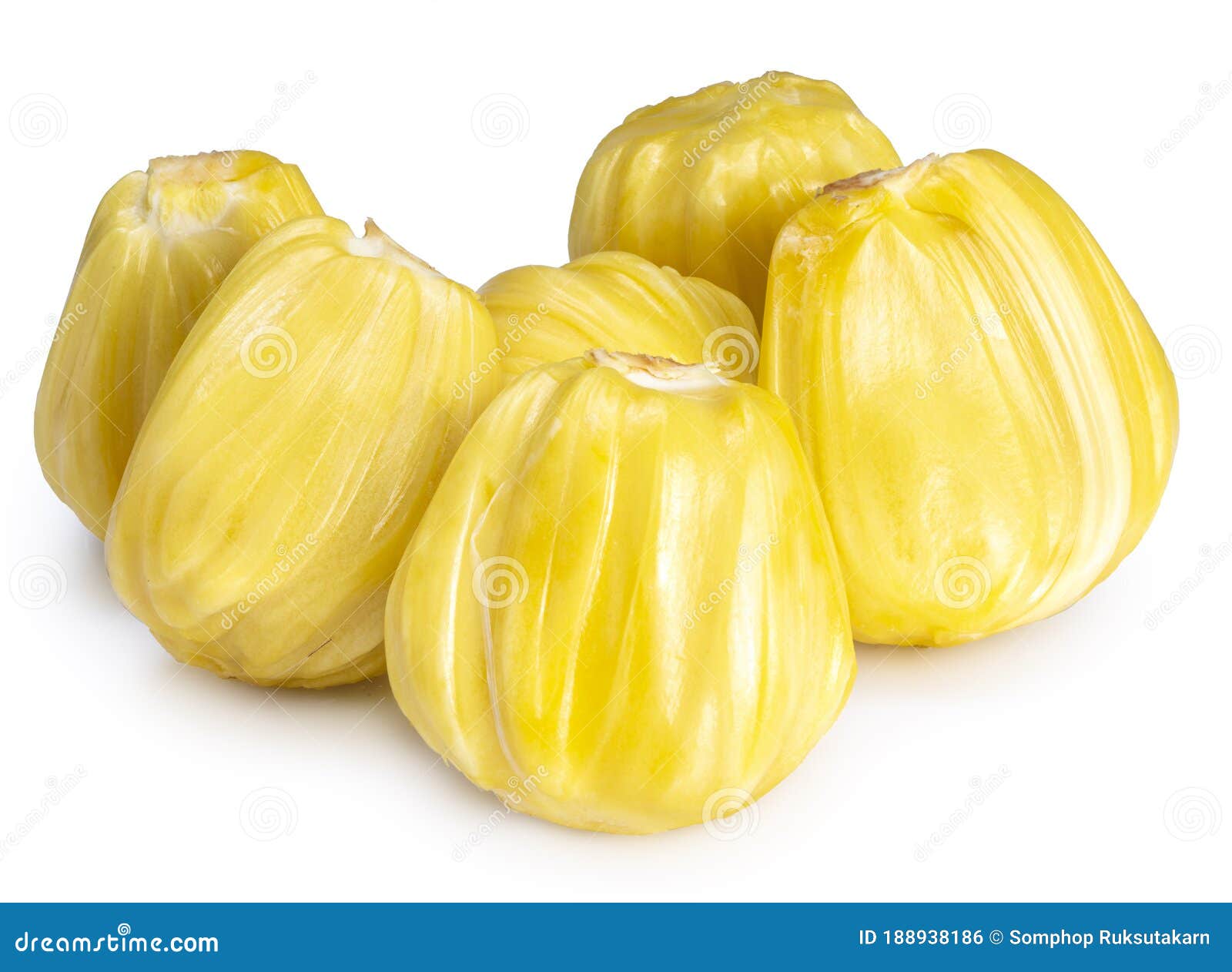 Fresh Jack Fruit Leaves, Green Jackfruit Leaf Stock Photo ...