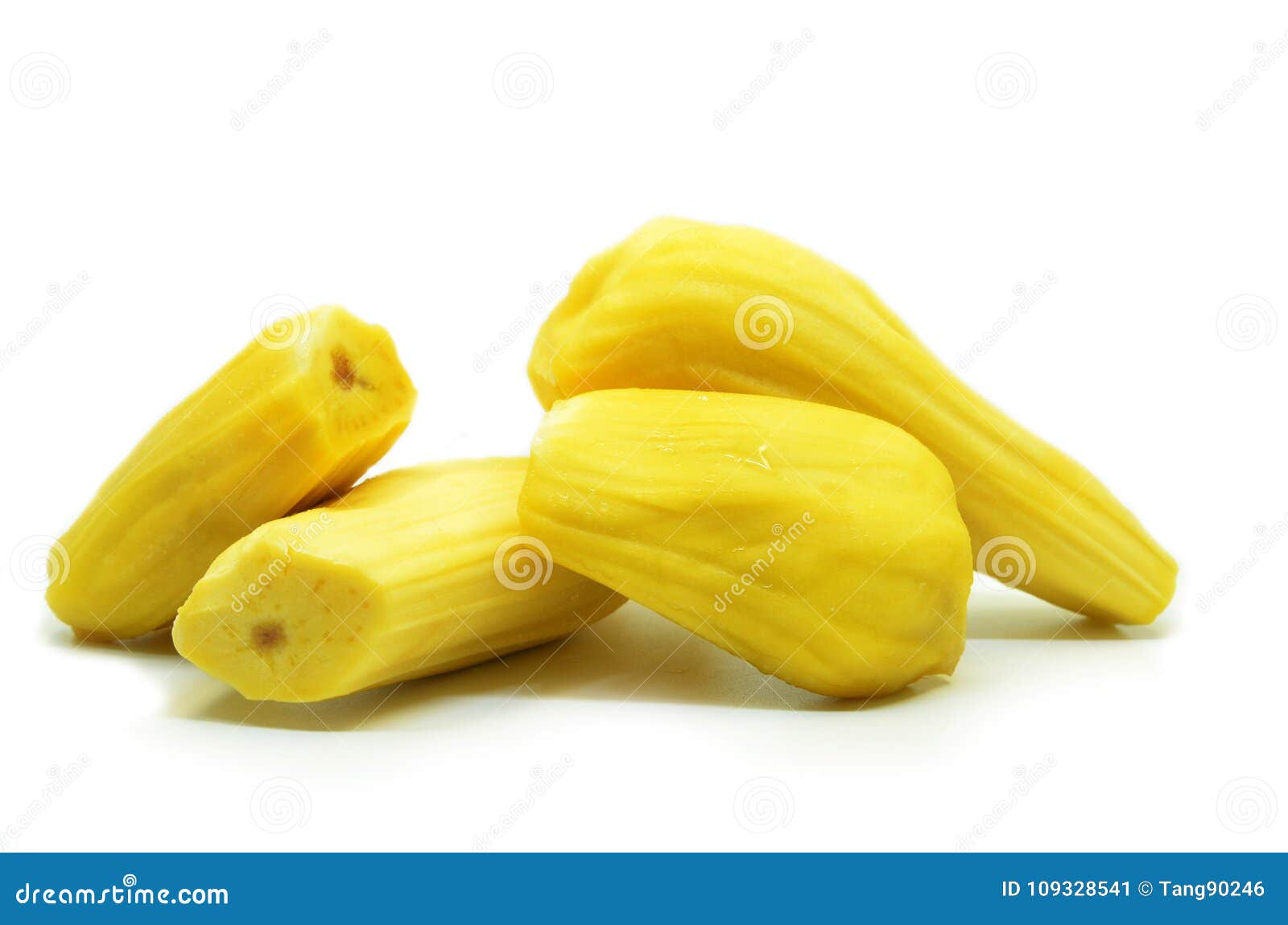 Ripe jackfruit isolated stock image. Image of fruit - 109328541