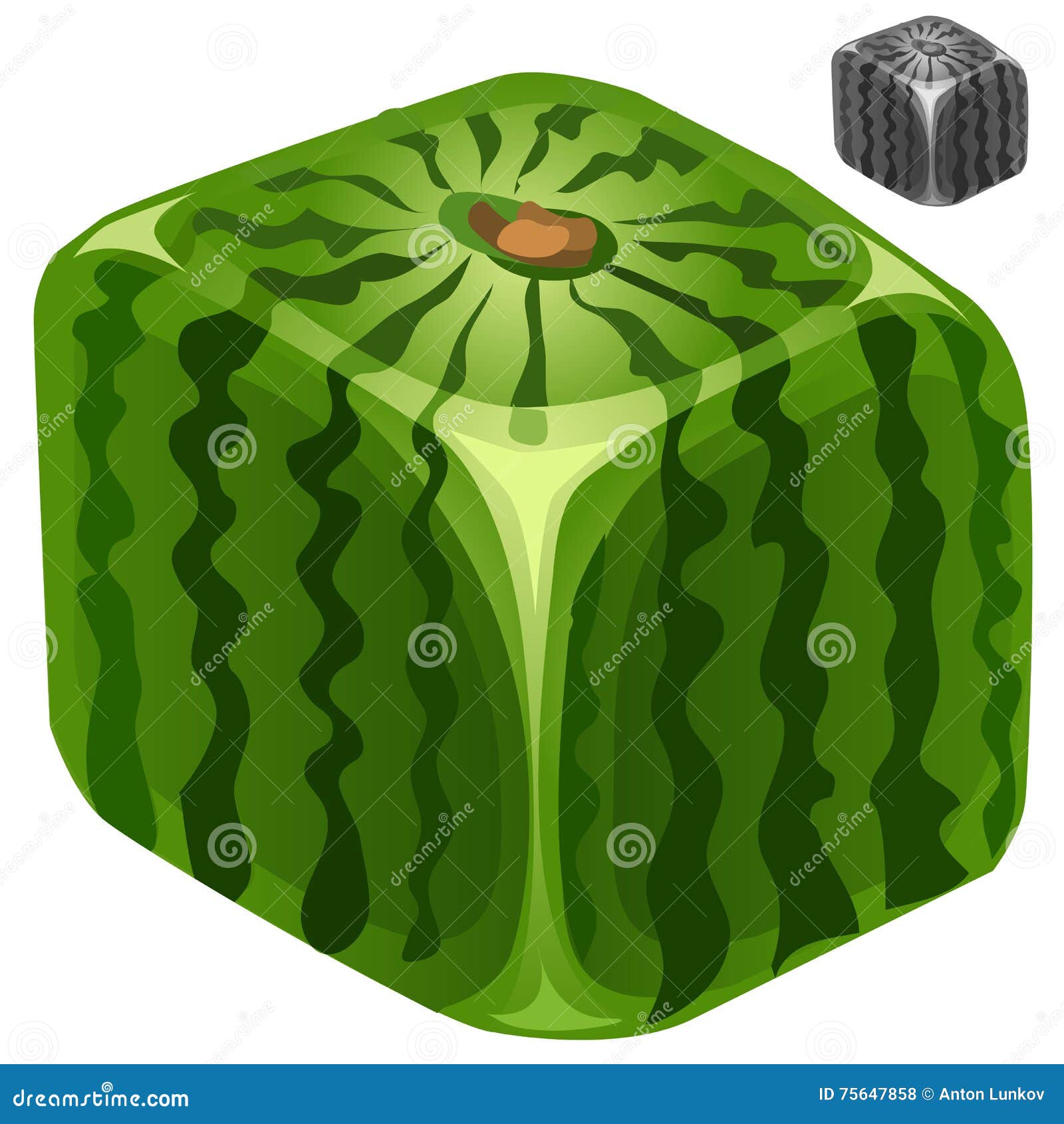 Square Watermelon Pixel Art Frame Design Vector Illustration ...