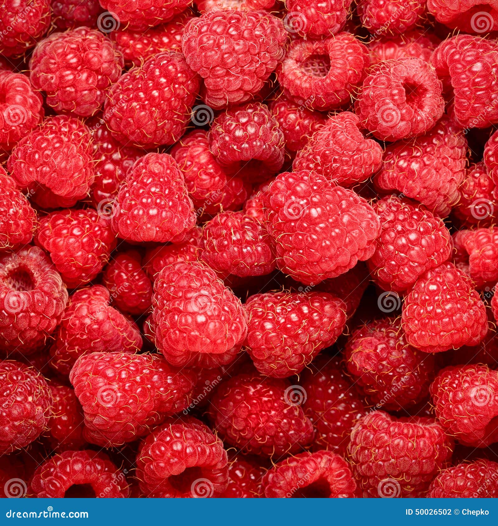 Ripe juicy raspberries stock photo. Image of colors, macro - 50026502