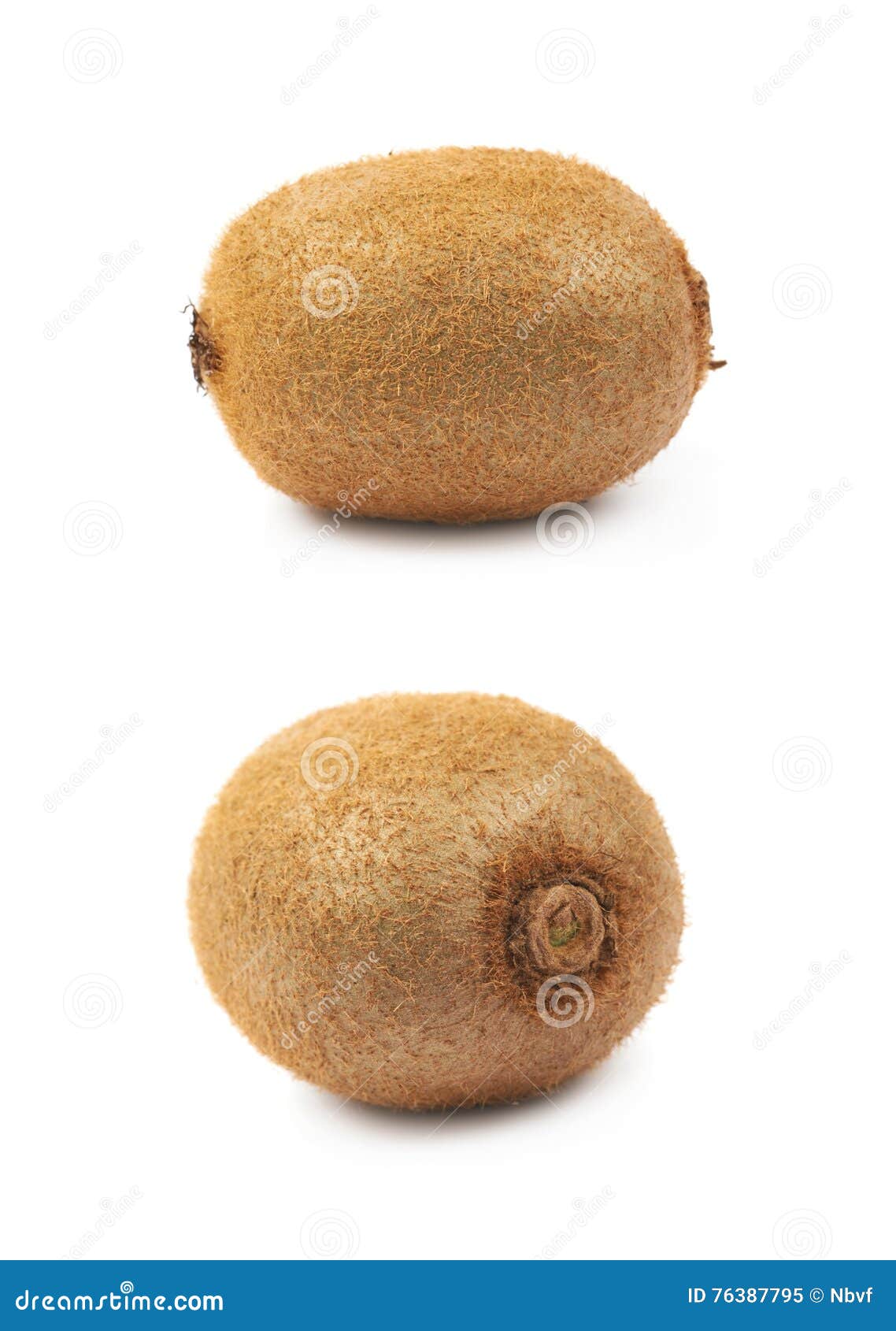 Ripe kiwi fruit isolated stock image. Image of antioxidant - 76387795