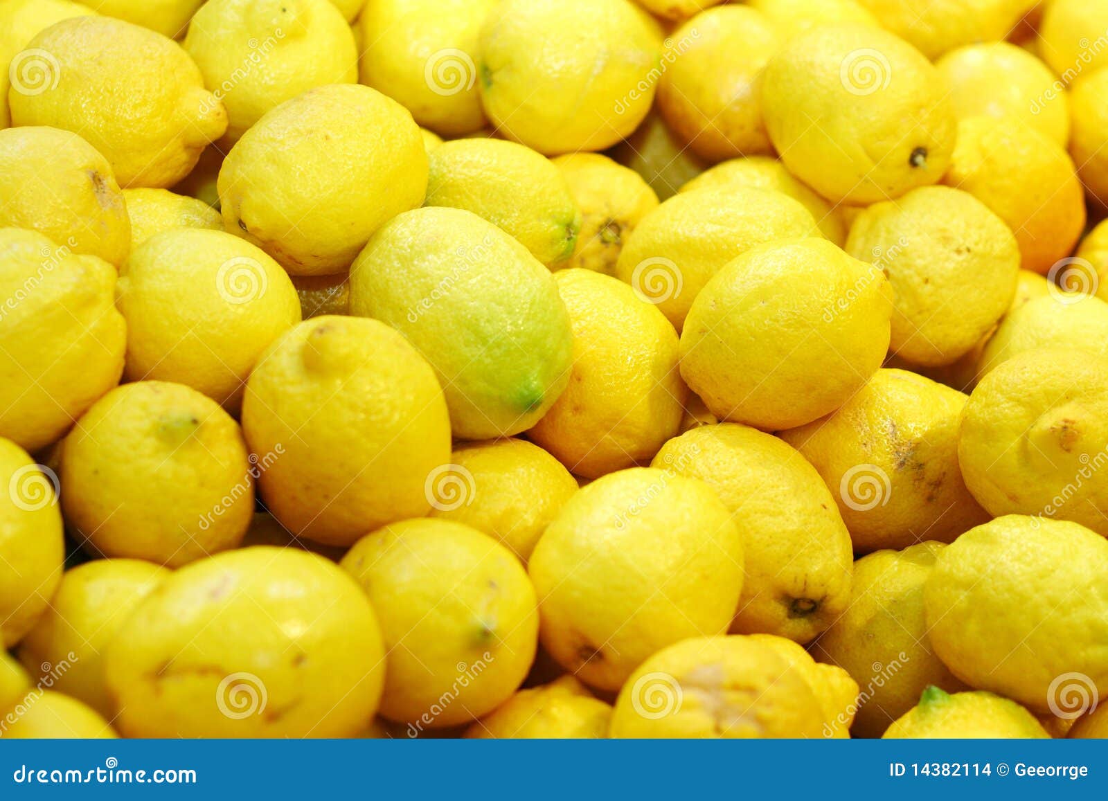 Ripe lemons for lemonade stock photo. Image of fresh - 14382114