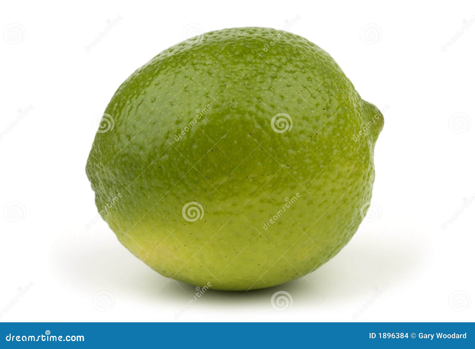 Ripe Lime. stock photo. Image of food, fruit, white, green - 1896384