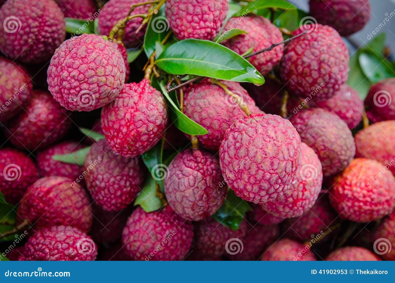 Ripe lychee stock image. Image of healthy, litchi, litchee - 41902953