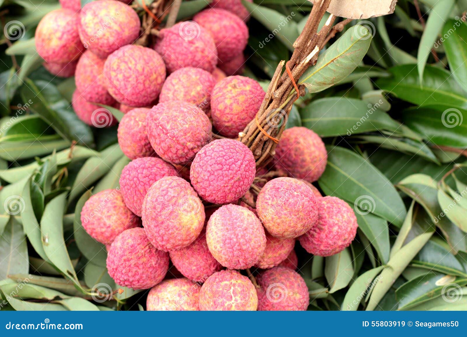 Ripe lychee in the market stock image. Image of refreshing - 55803919