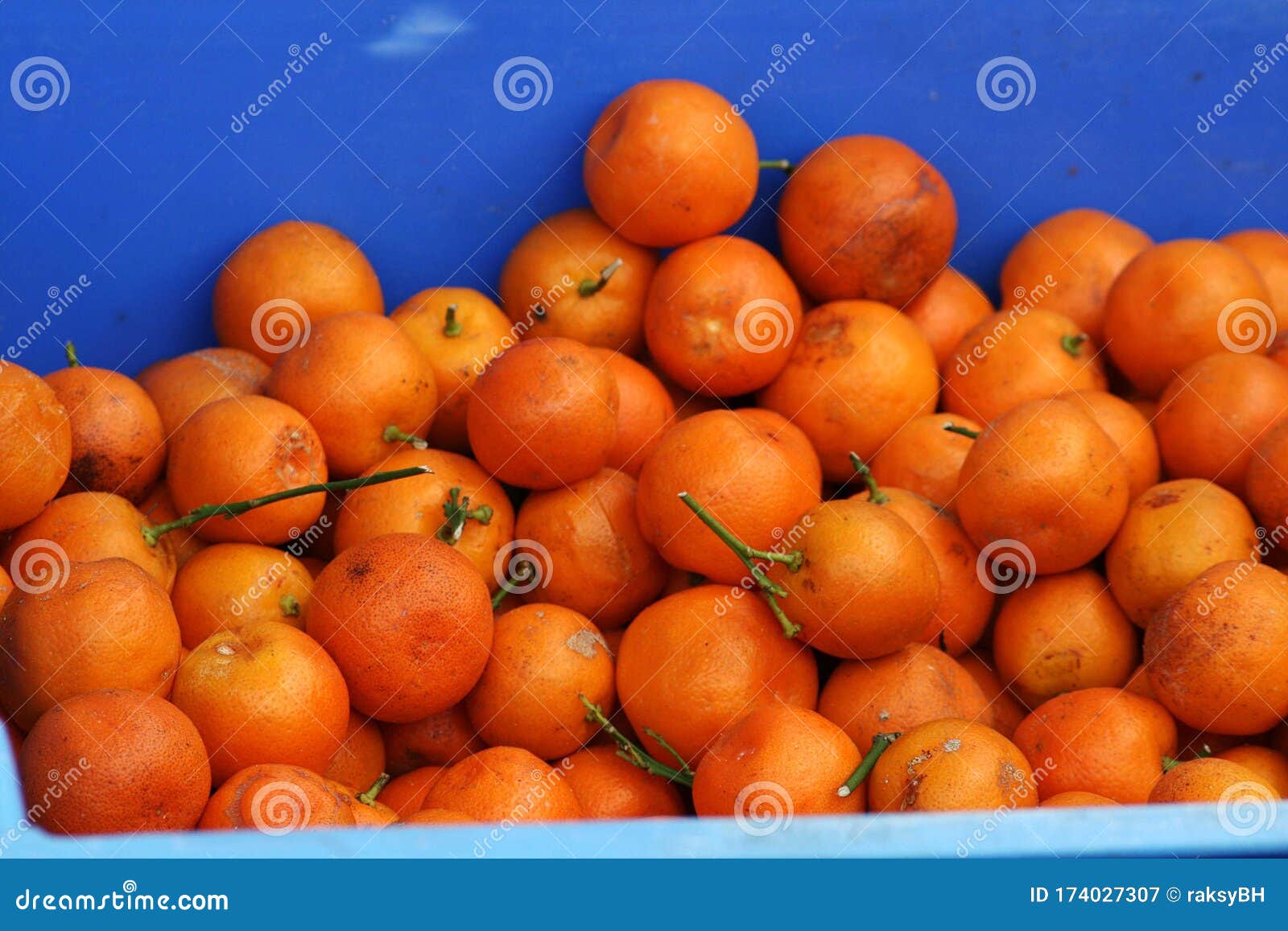 Ripe Mandarin Fruits in a Fruit Stall Stock Image - Image of healthy ...