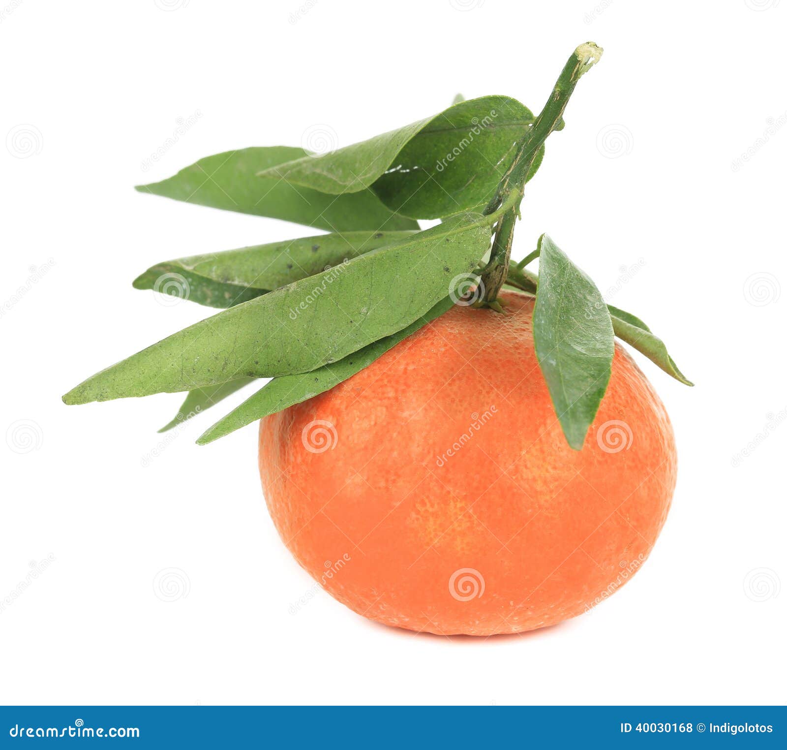 Ripe Mandarin with Green Leaves. Stock Photo - Image of organic ...