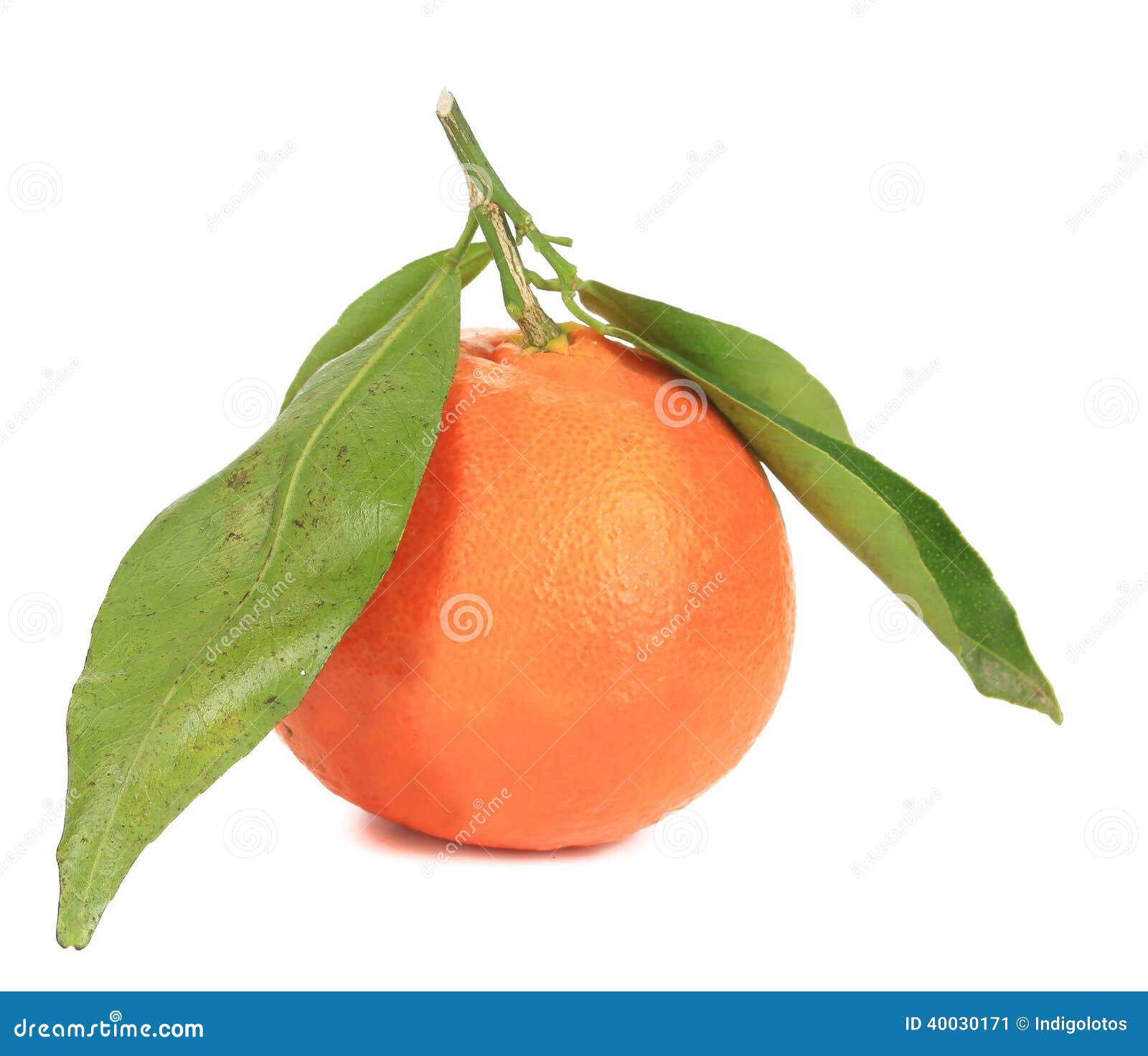Ripe Mandarin with Green Leaves. Stock Image - Image of eating, fruit ...