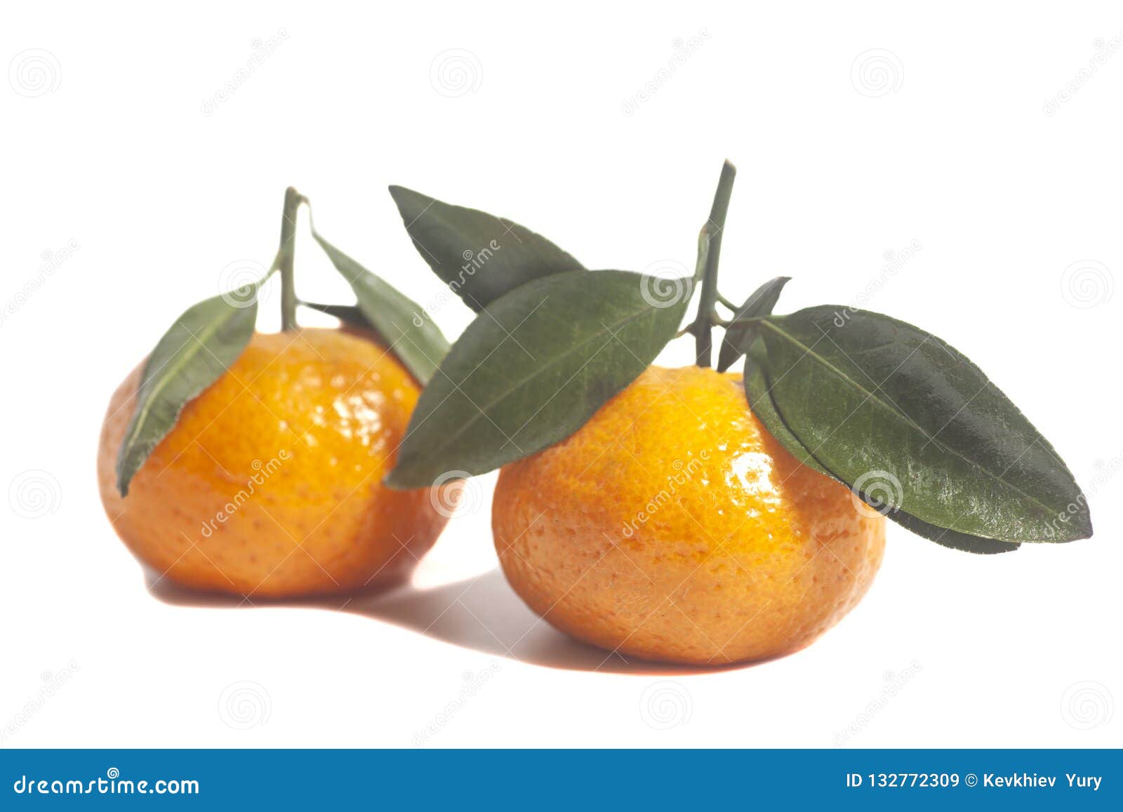 Ripe Mandarins with Green Leaves Stock Image - Image of healthy, design ...