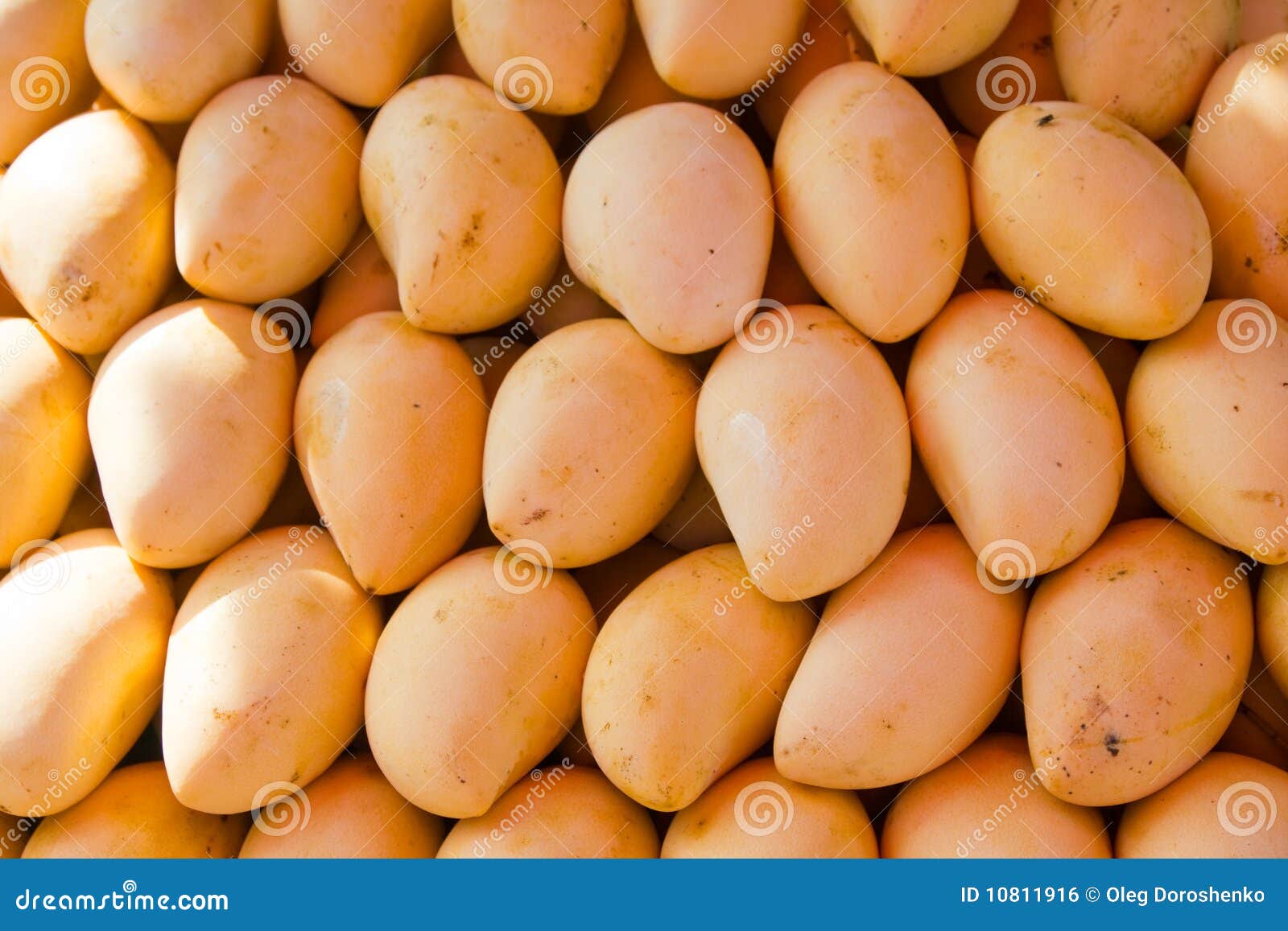 Ripe mango stock photo. Image of snack, healthy, taste - 10811916