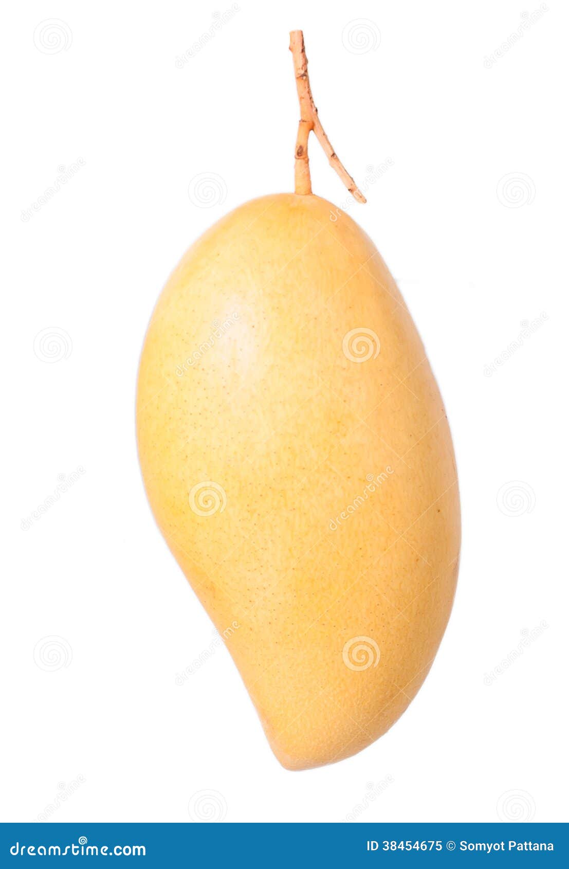 Ripe mango stock image. Image of india, food, ripe, sweet - 38454675