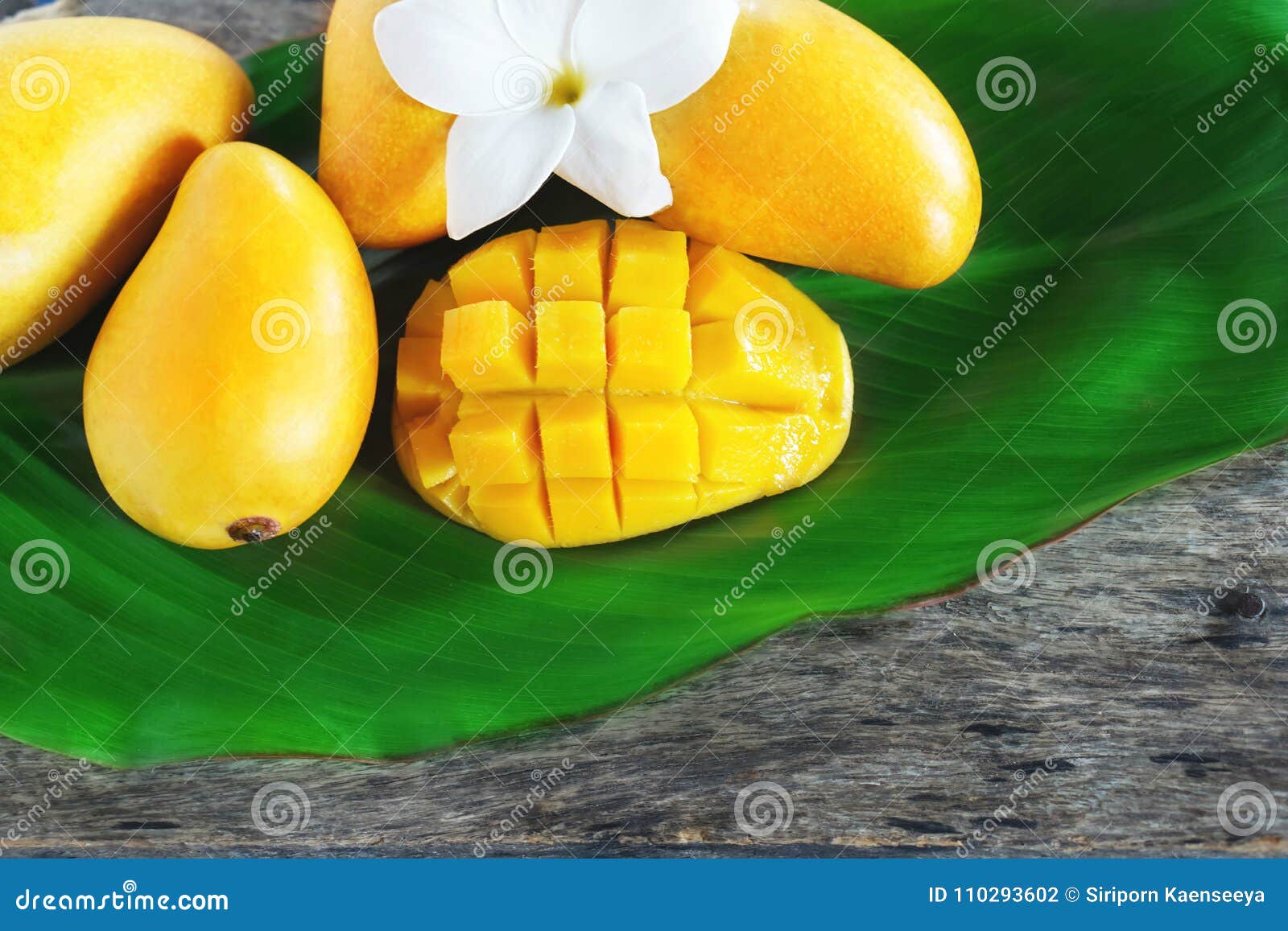 Ripe Mango Cut in Square with Other Yellow Mangoes on a Green Leaf ...