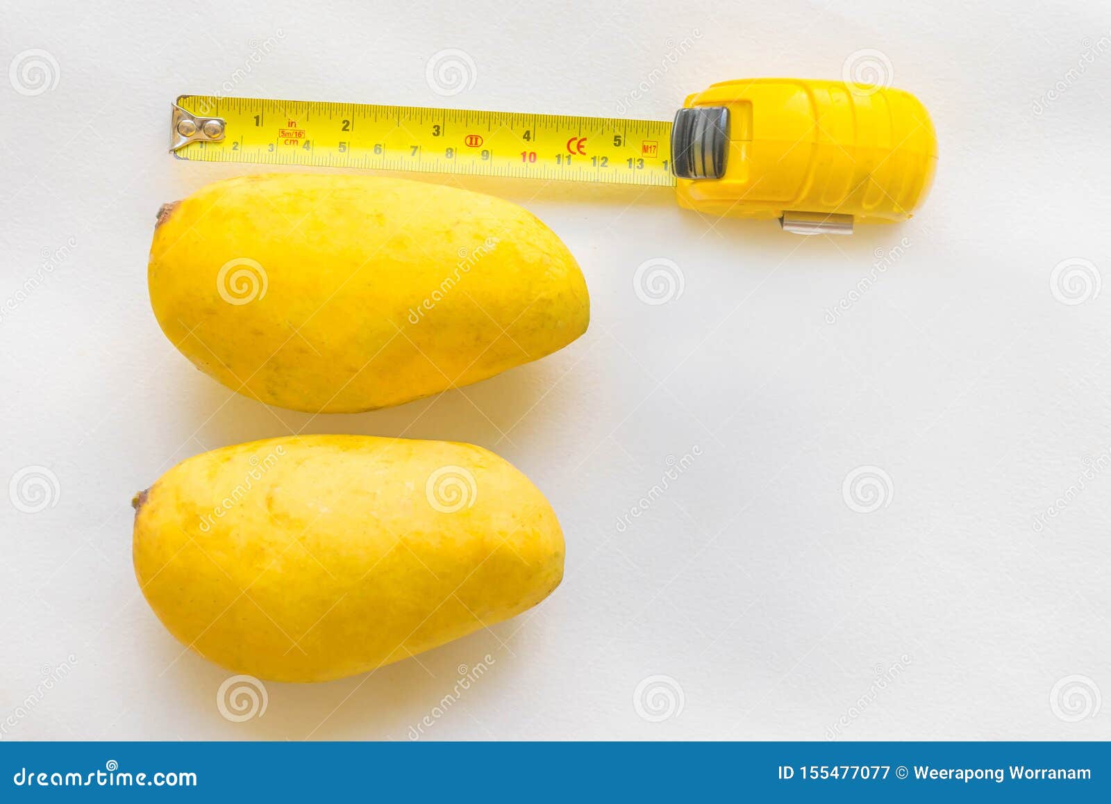 The Ripe Mango Fruit with Measuring Tape for Length on the White ...