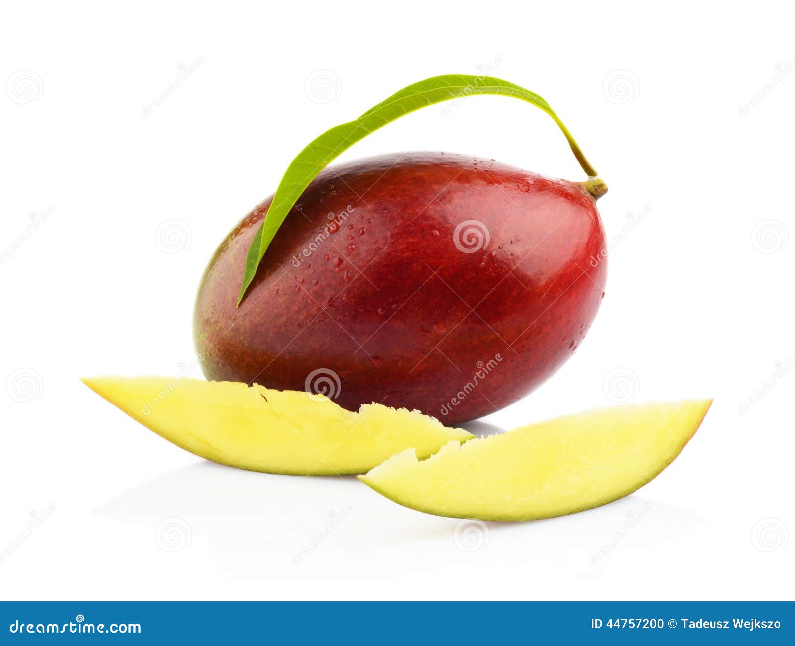 Shot Mango Fruits Hanging On Mango Tree,mango Hanging On Tree,mango ...