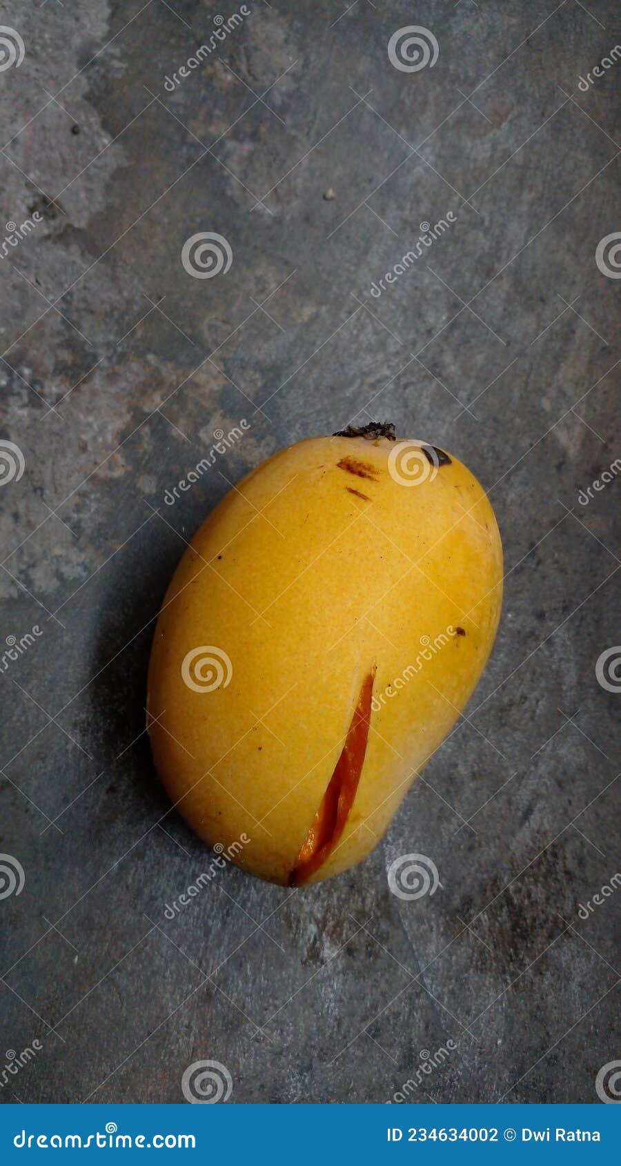 Ripe Mango. Mango Fruit Whose Skin Was Cracked Peeled Off because it ...