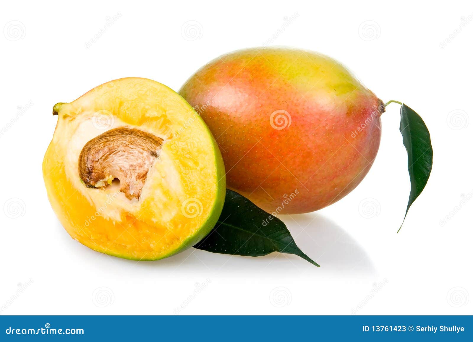 Ripe Mango Fruits with Leaves Isolated Stock Image - Image of isolated ...