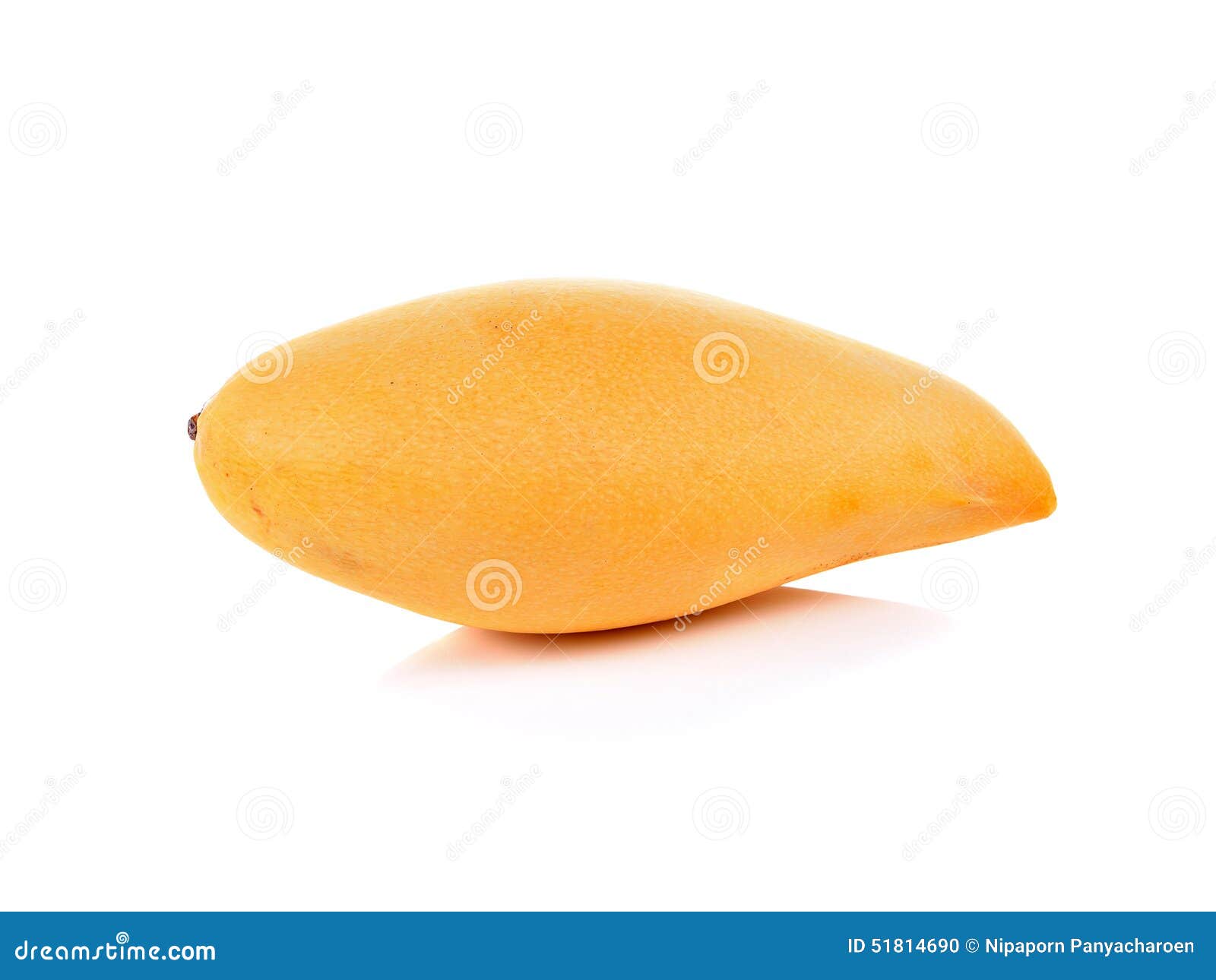 Ripe mango stock photo. Image of ingredient, ripe, sweet - 51814690