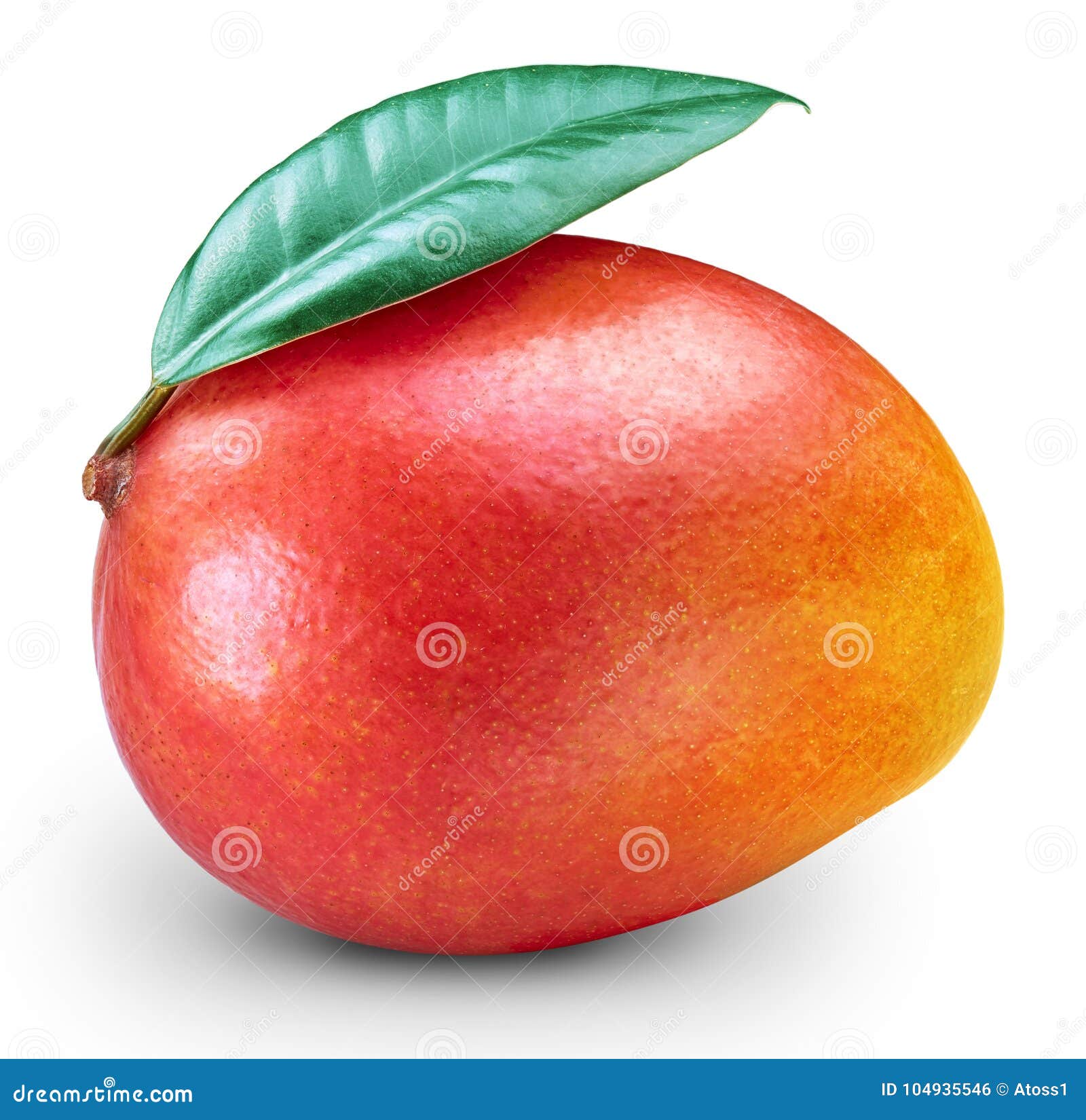 Ripe mango isolated stock photo. Image of tropical, gourmet - 104935546