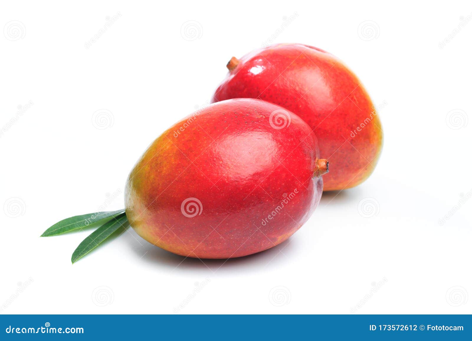 Ripe Mango Isolated on White. Mango Clipping Path - Image Stock Photo ...