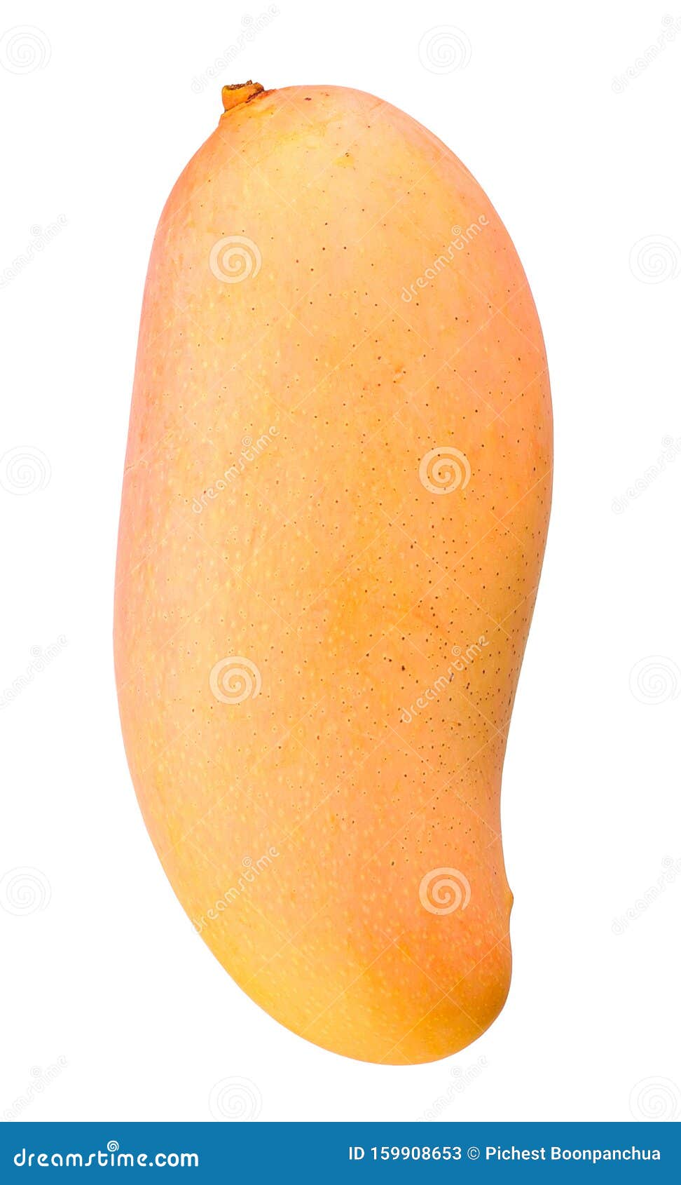 Ripe Mango Isolated on White Clipping Path Stock Image - Image of slice ...