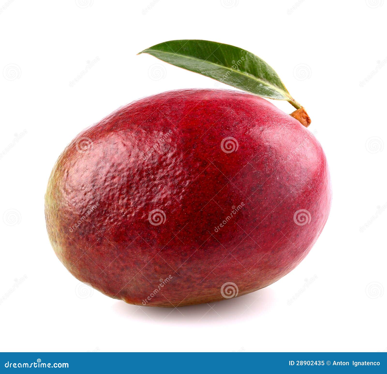Ripe mango with leaf stock image. Image of leaf, color - 28902435