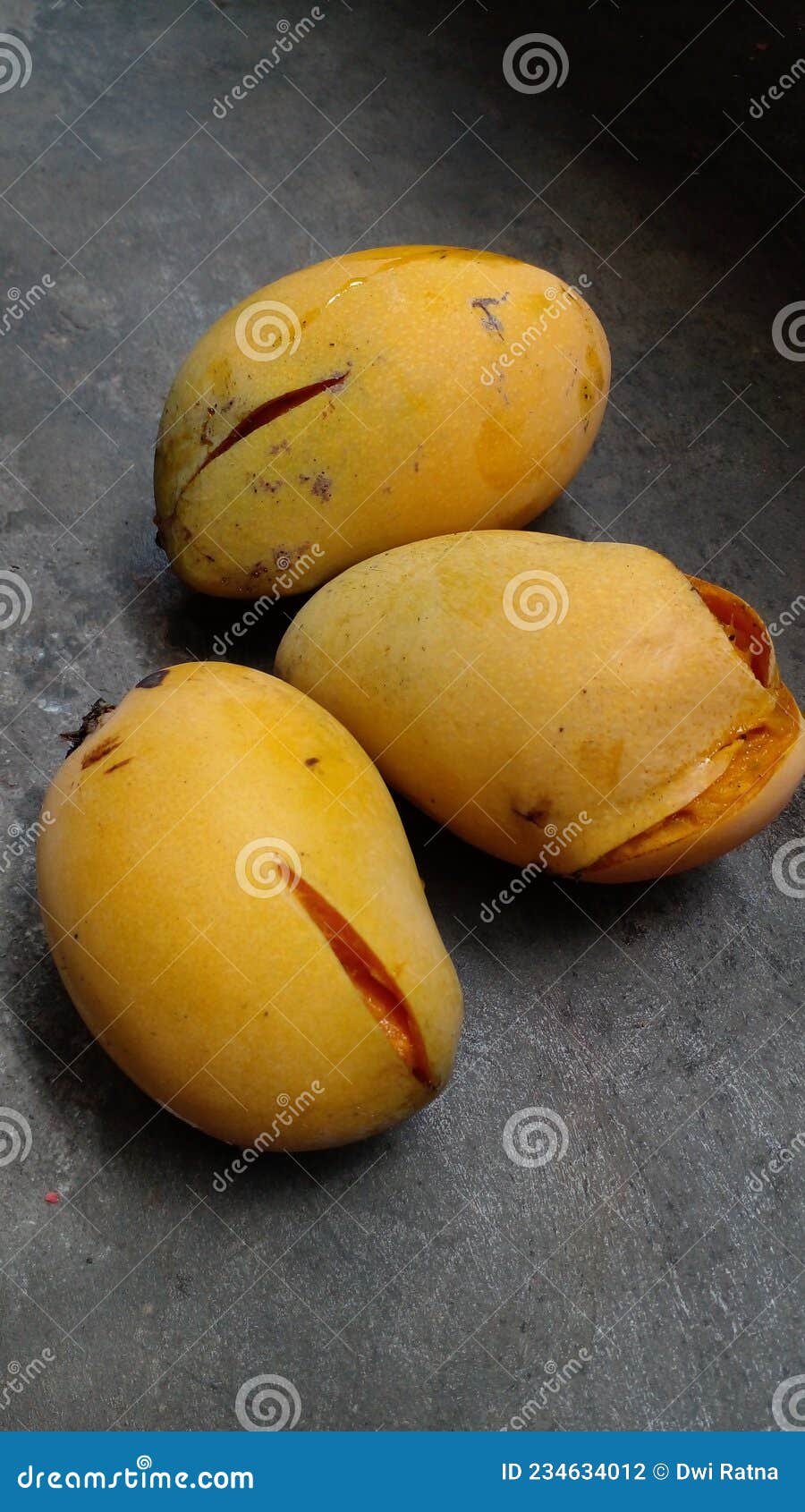 Ripe Mango. Mango Fruit Whose Skin Was Cracked Peeled Off because it ...