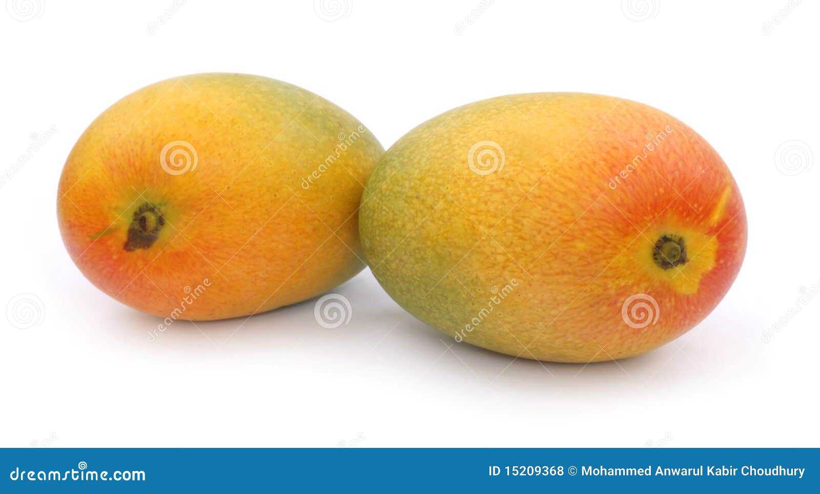 Ripe mangoes stock photo. Image of mango, juicy, color - 15209368
