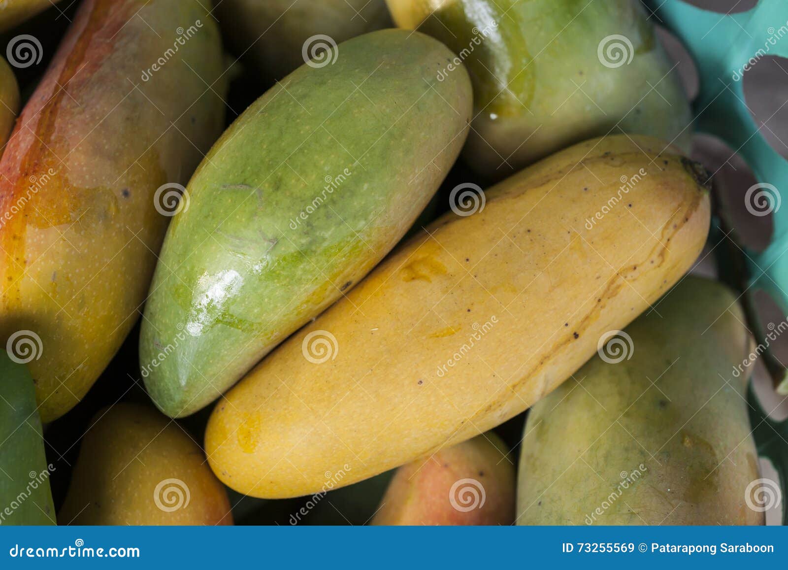Ripe Mangoes stock image. Image of fresh, diet, studio - 73255569
