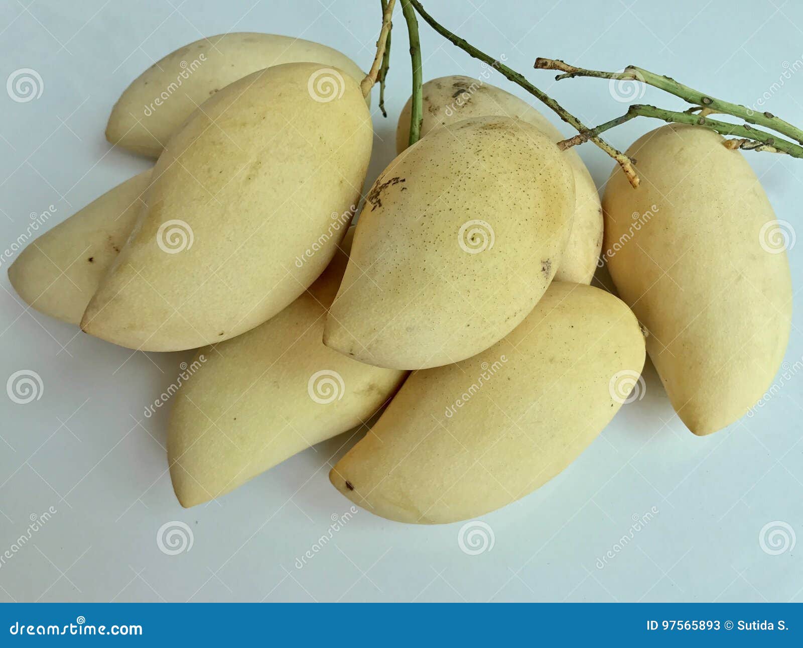 Ripe mangoes stock image. Image of argriculture, food - 97565893