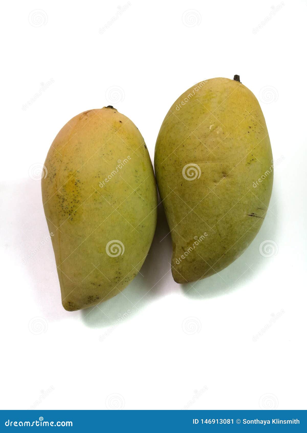 Ripe mangoes isolated stock image. Image of mangoes - 146913081