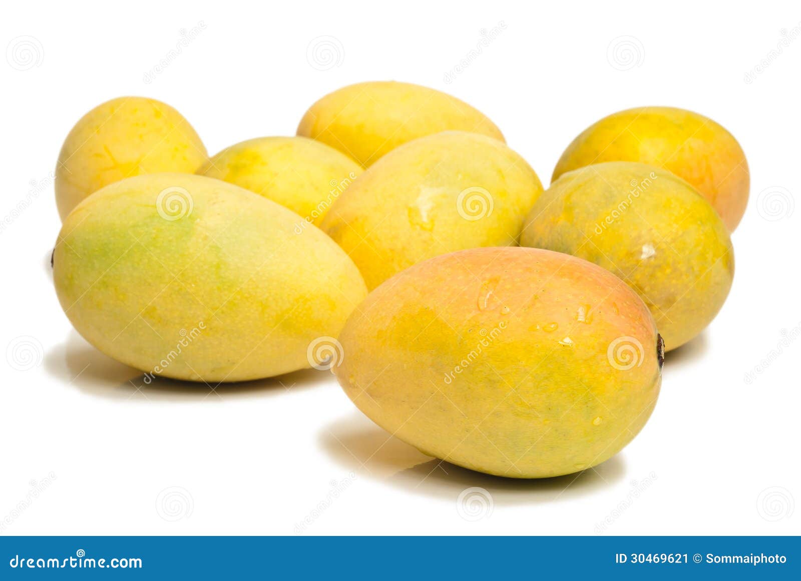 Ripe mangoes stock image. Image of eatable, manga, green - 30469621