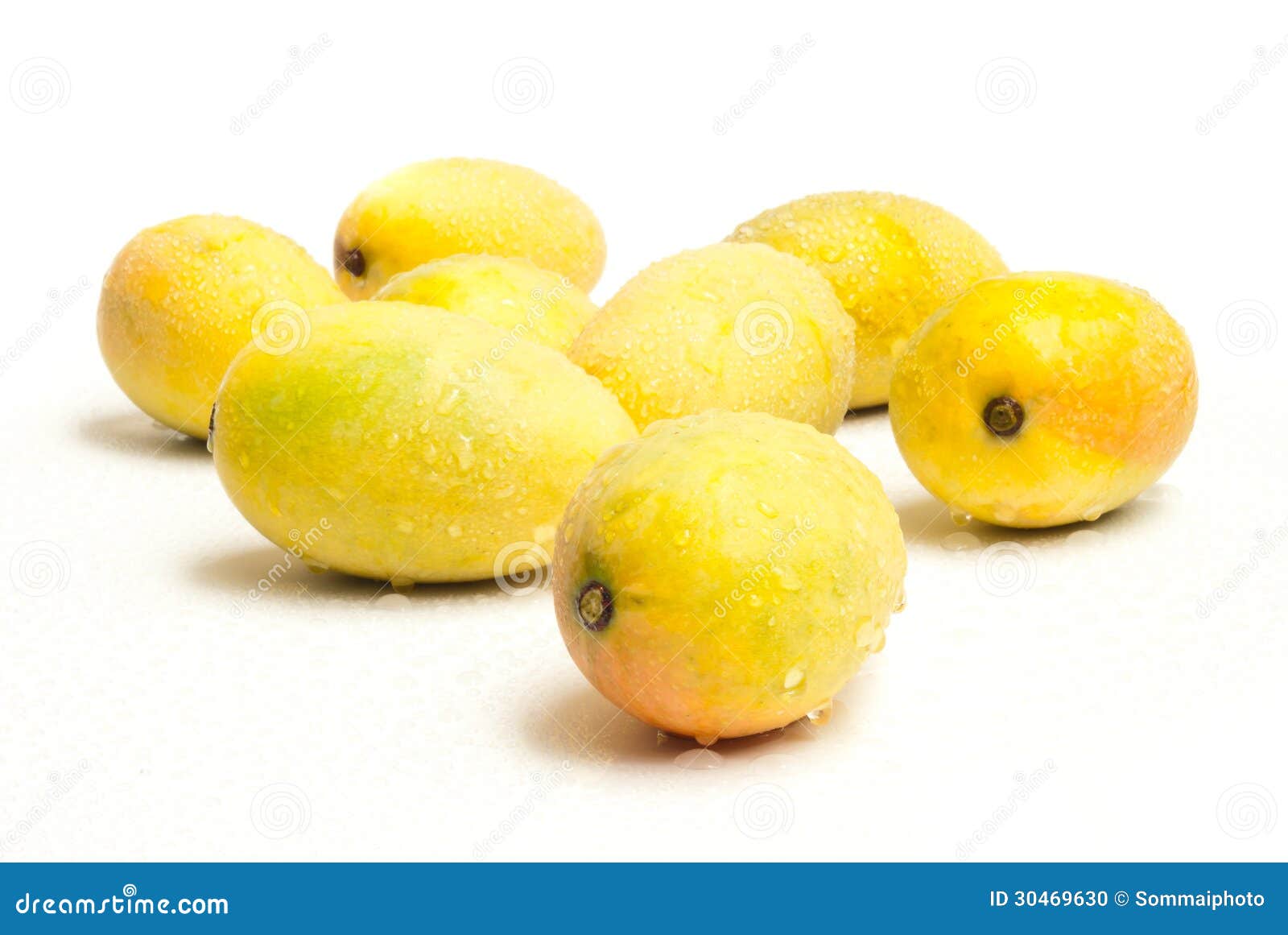 Ripe mangoes stock photo. Image of mangoes, nature, hanging - 30469630