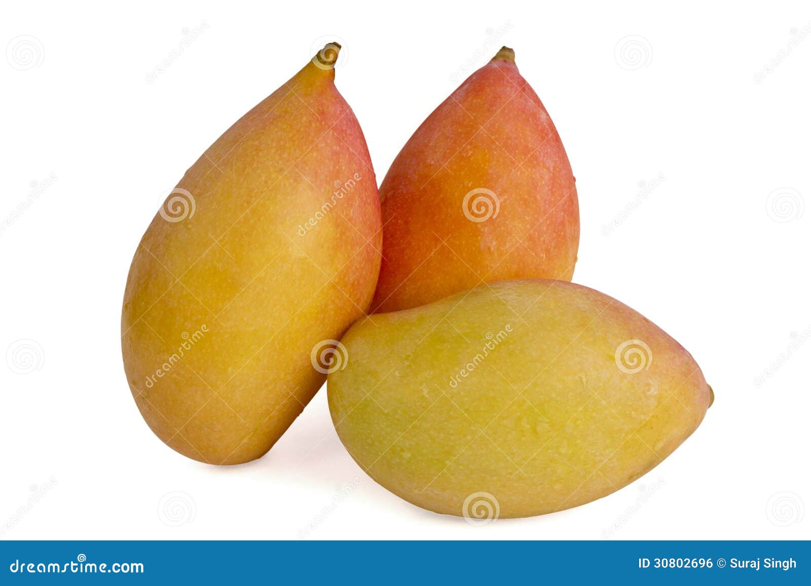 Ripe Mangoes stock photo. Image of clipping, mangoes - 30802696