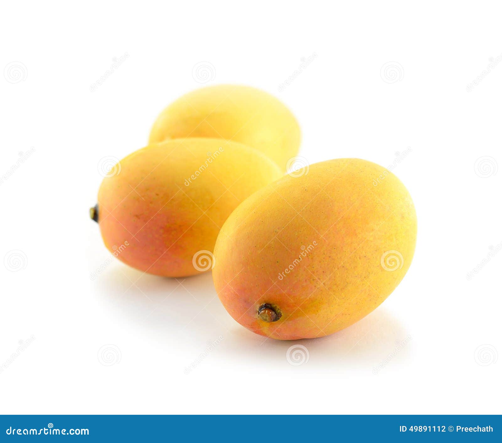 Ripe Mangoes Isolated on White Background. Stock Photo - Image of ...